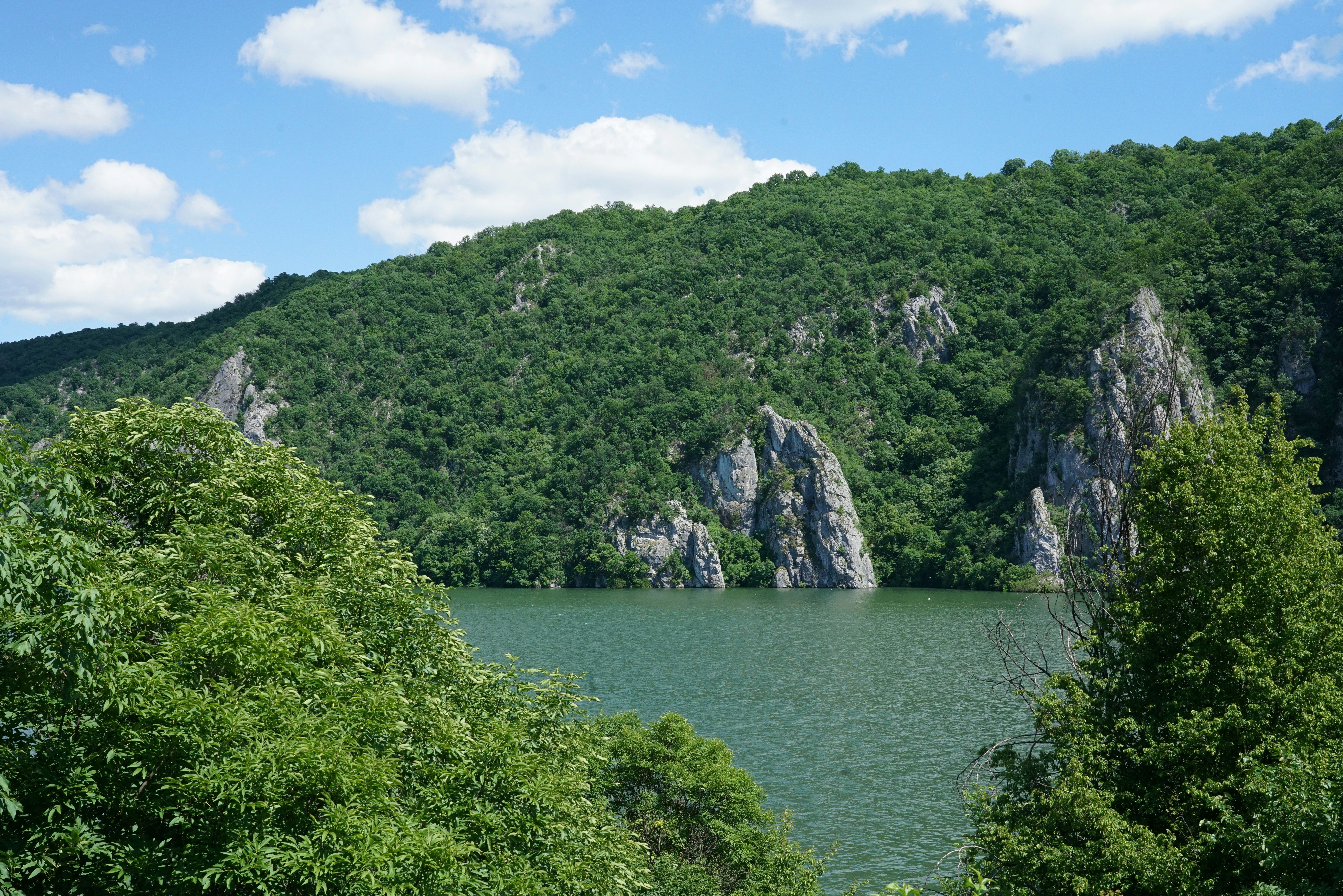 Verdant Lake Canyon Surrounded by Cliff-Caced Bluffs