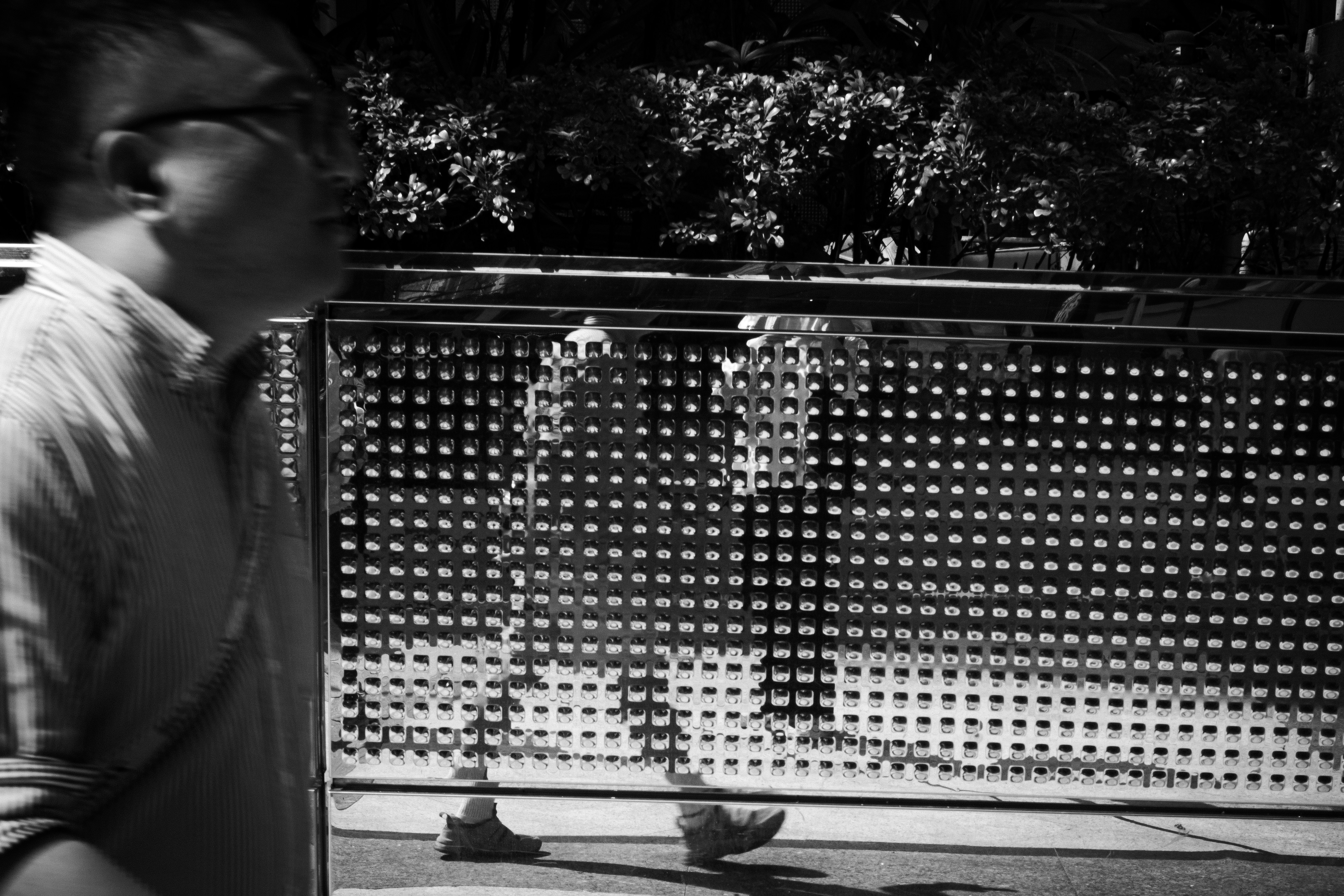 Half-Frame in Motion: A Walk Past the Dotted Metal Barrier