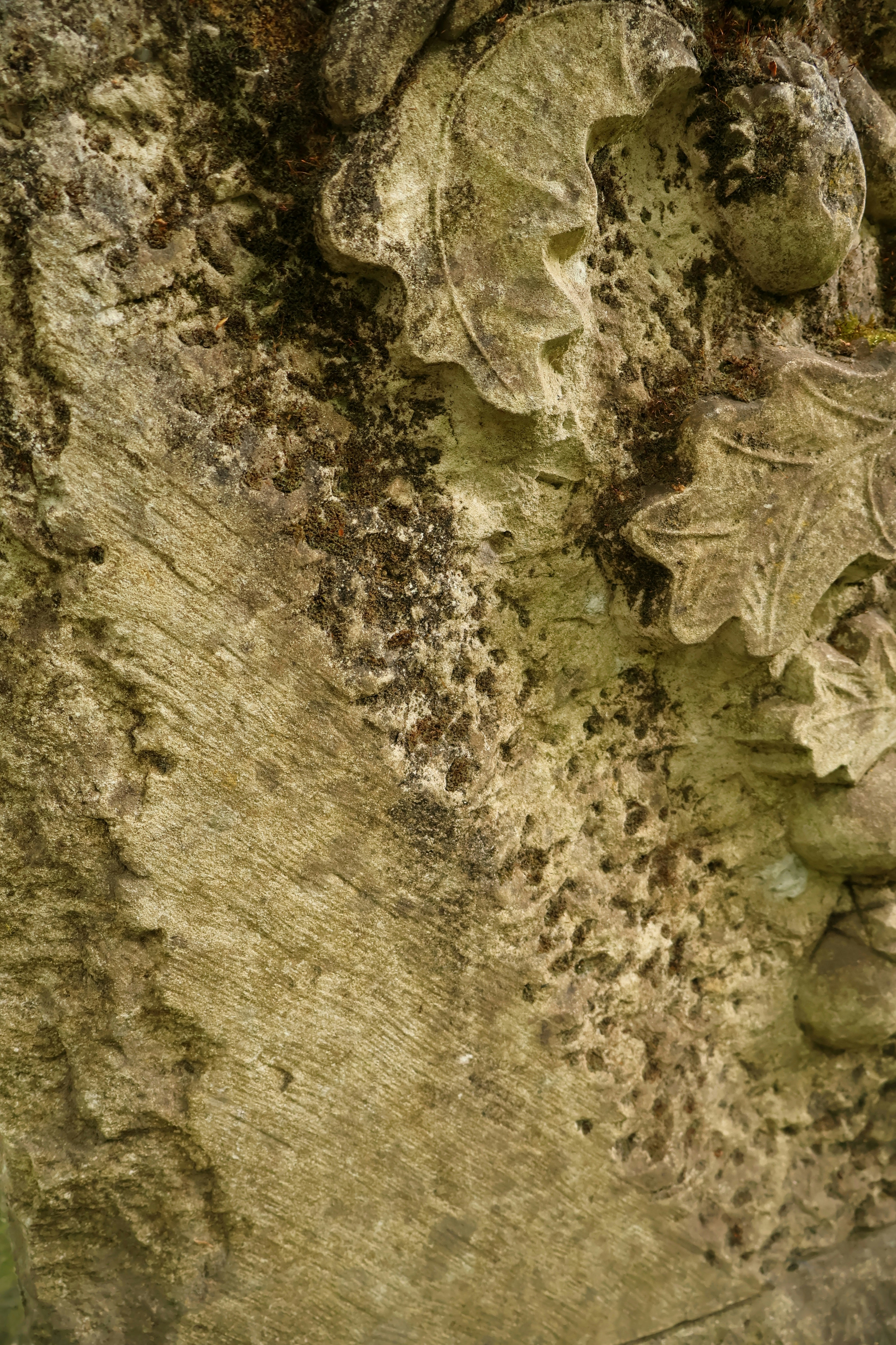 Stone Carving in Mossy Stonework