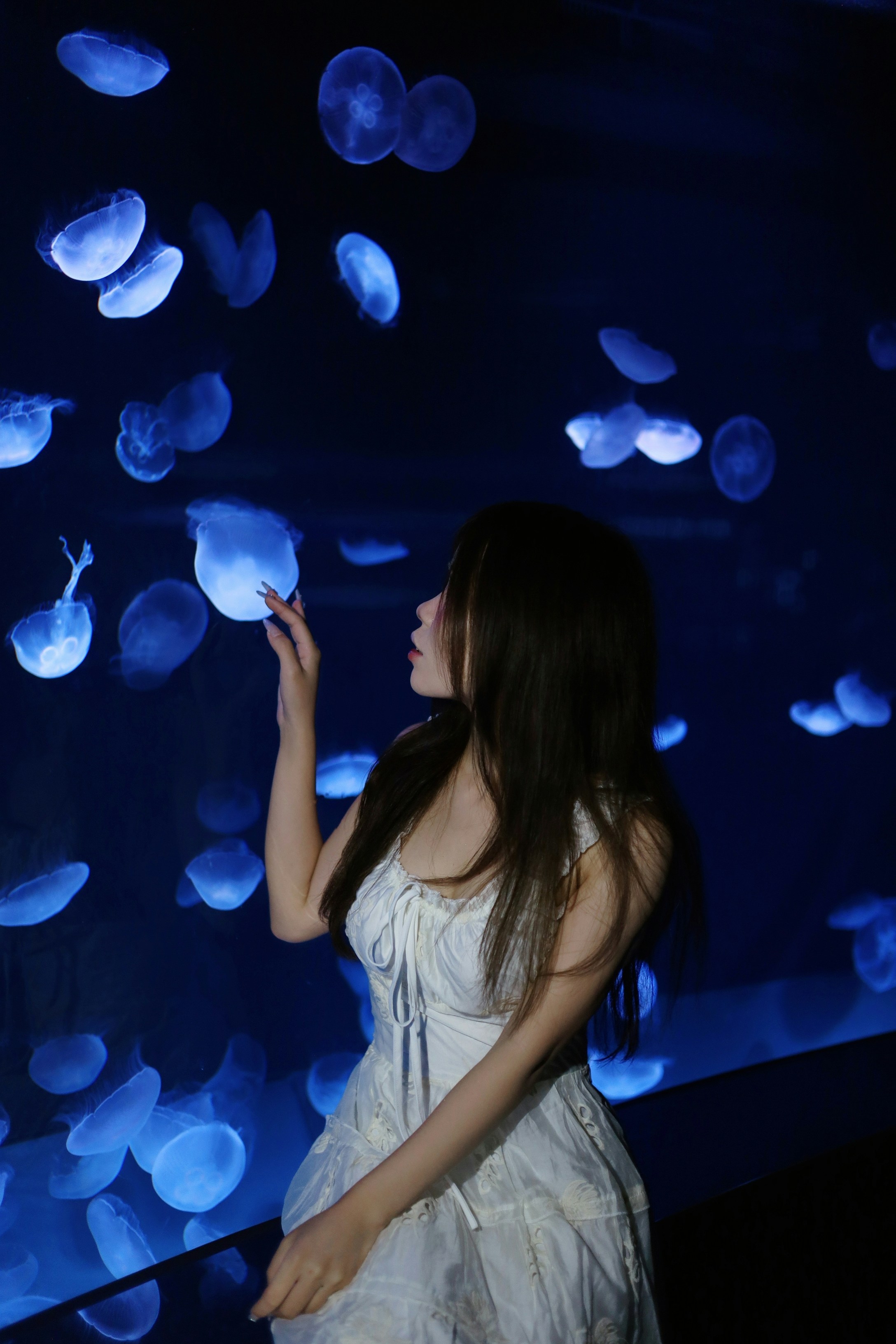 Floating Blue Moments: A Quiet Reach Toward Light