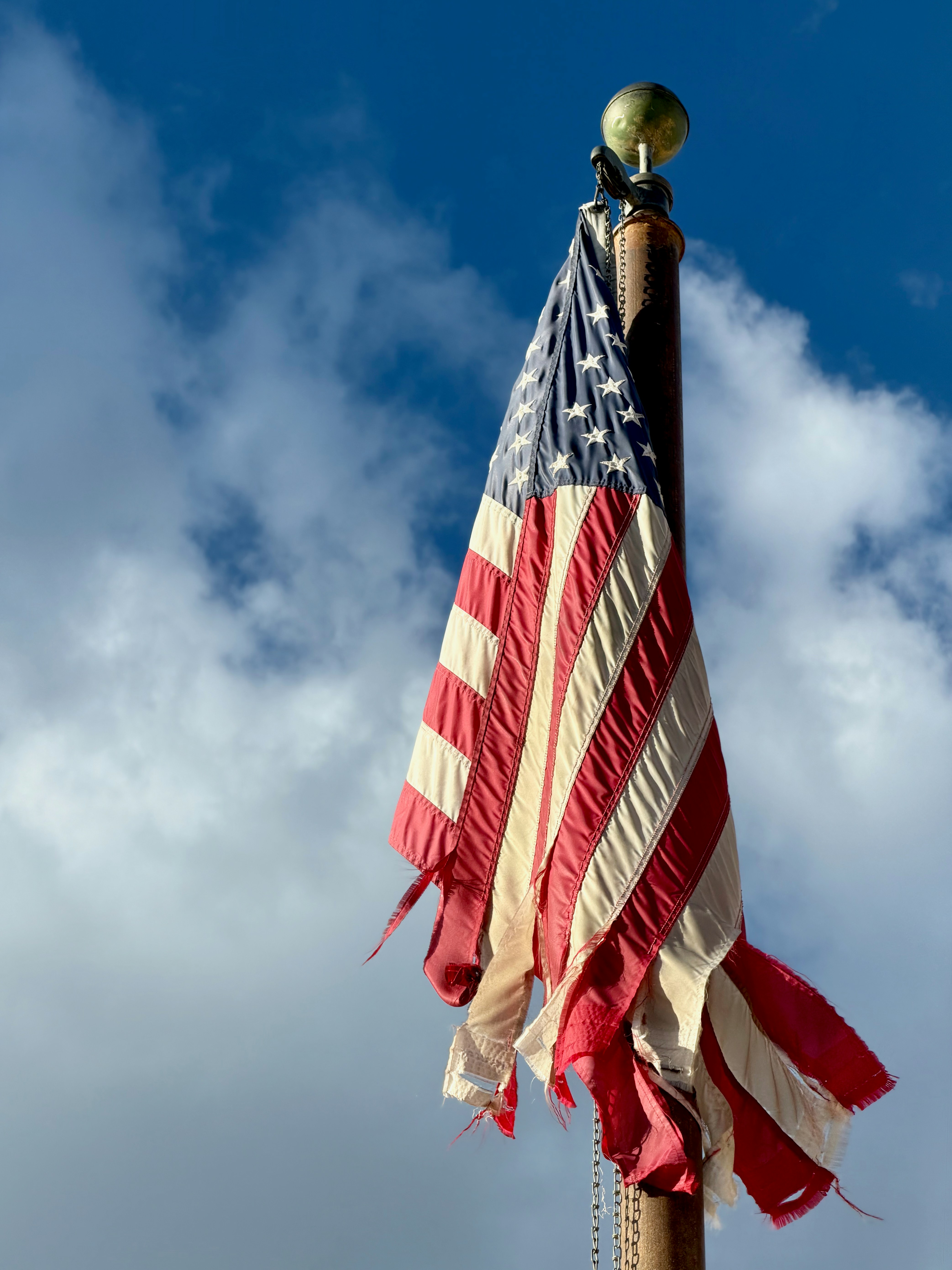 Tattered Flag Windswept at the Pole