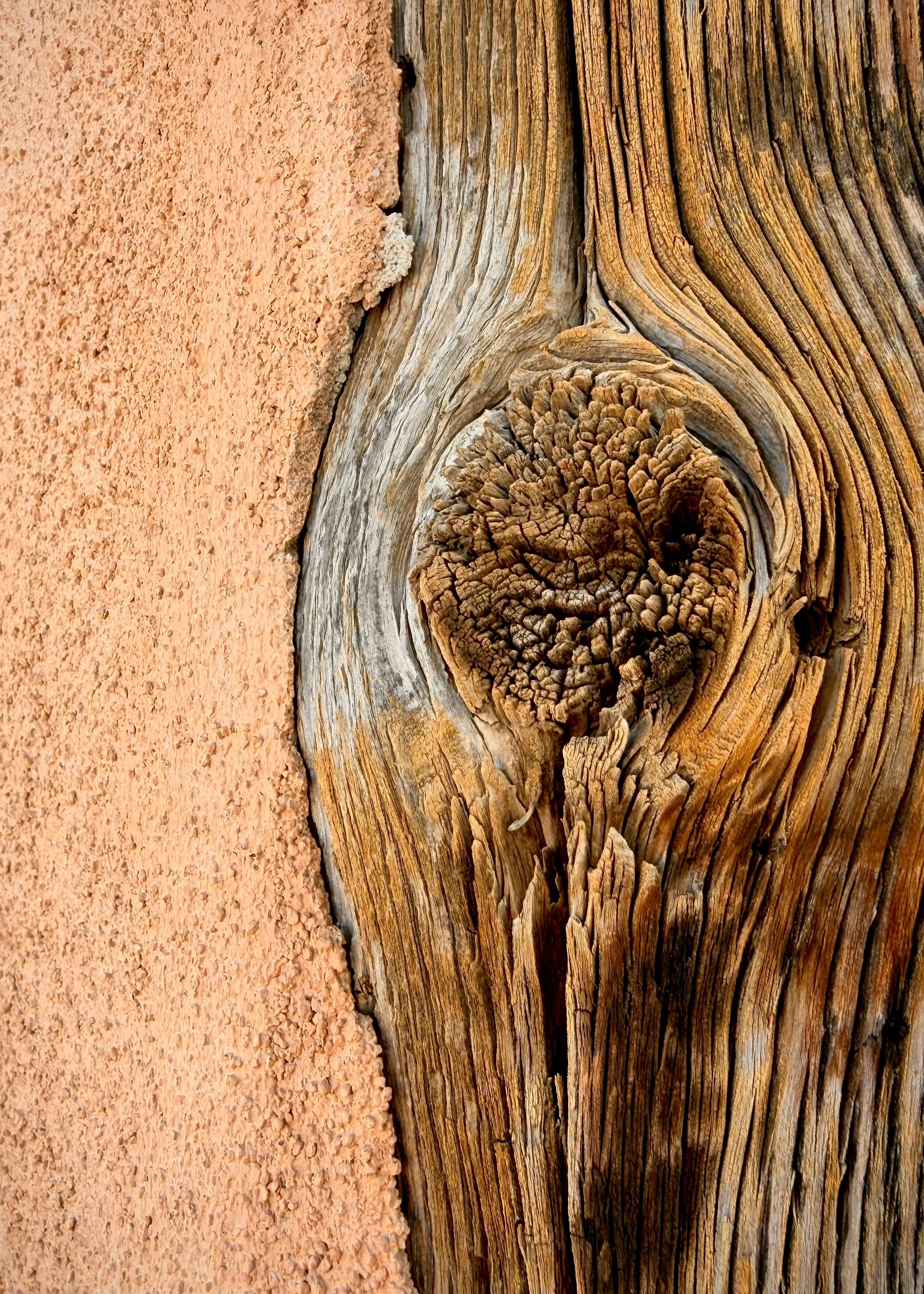 Weathered Grain: A Knot’s Century of Stride on Rough Timber
