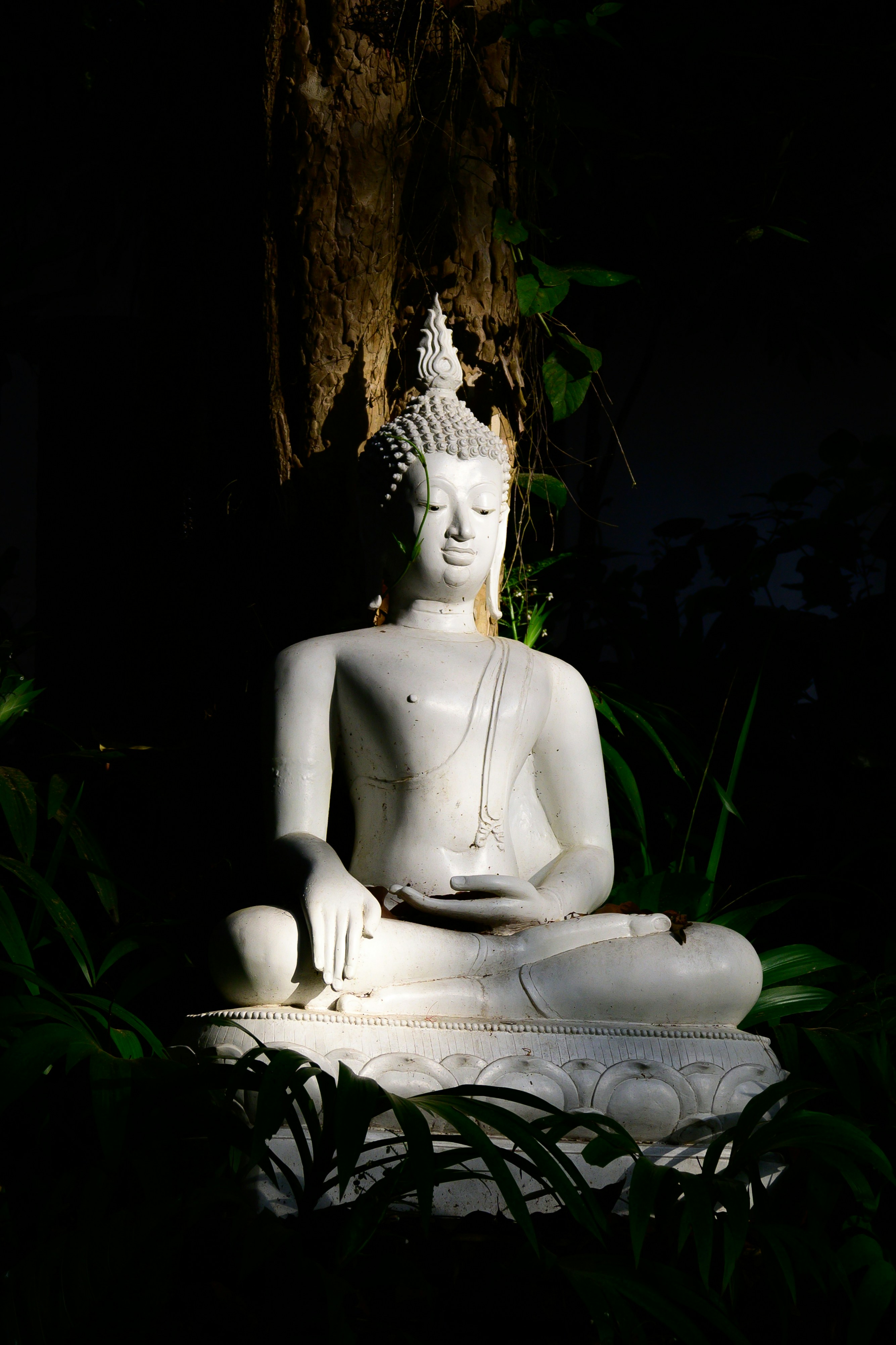 Silent Bodhisattva in Moonlit Glade