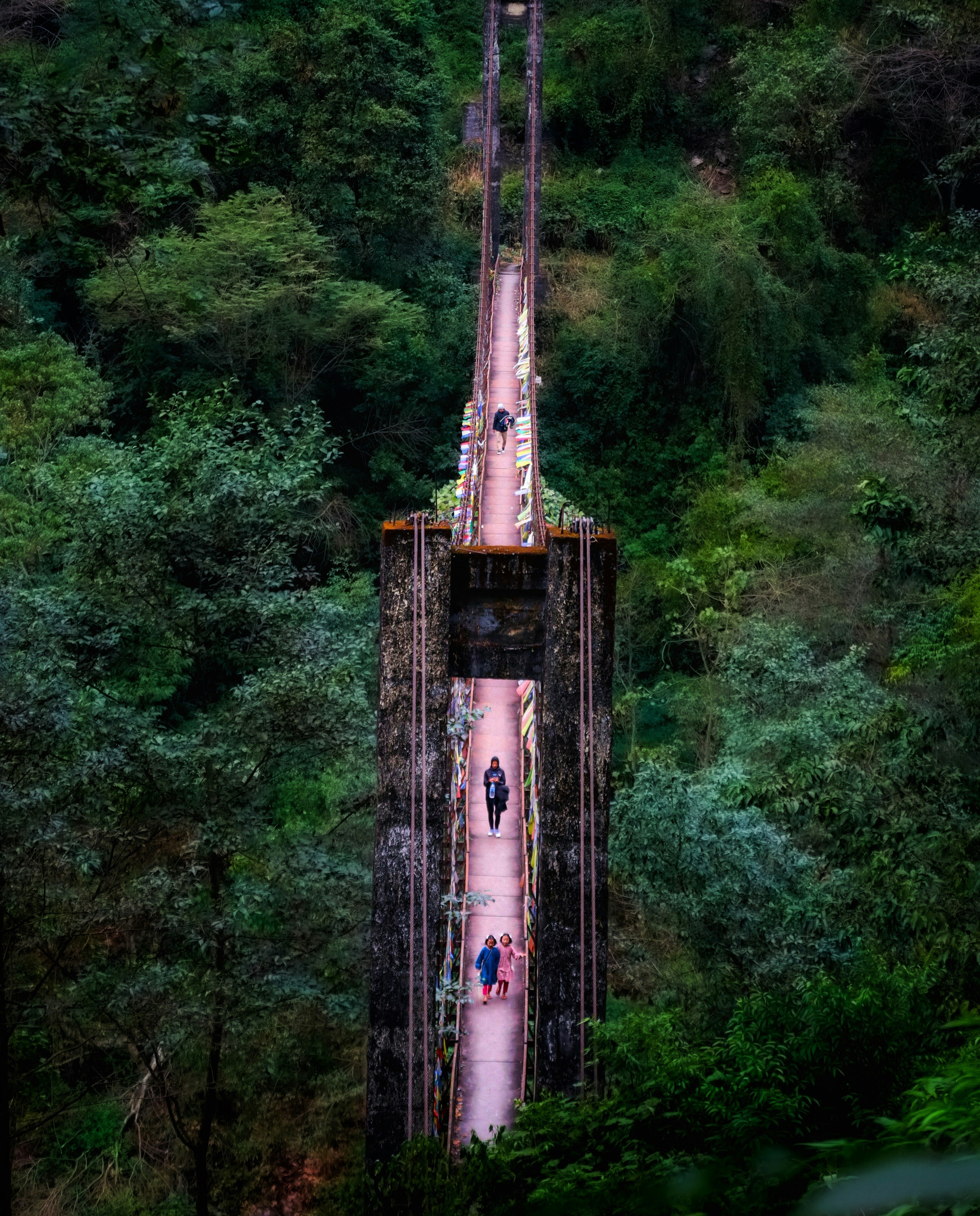 The suspension bridge connecting South and West Sikkim is located at Lower Borong Village under the 09 Barfung Constituency.
