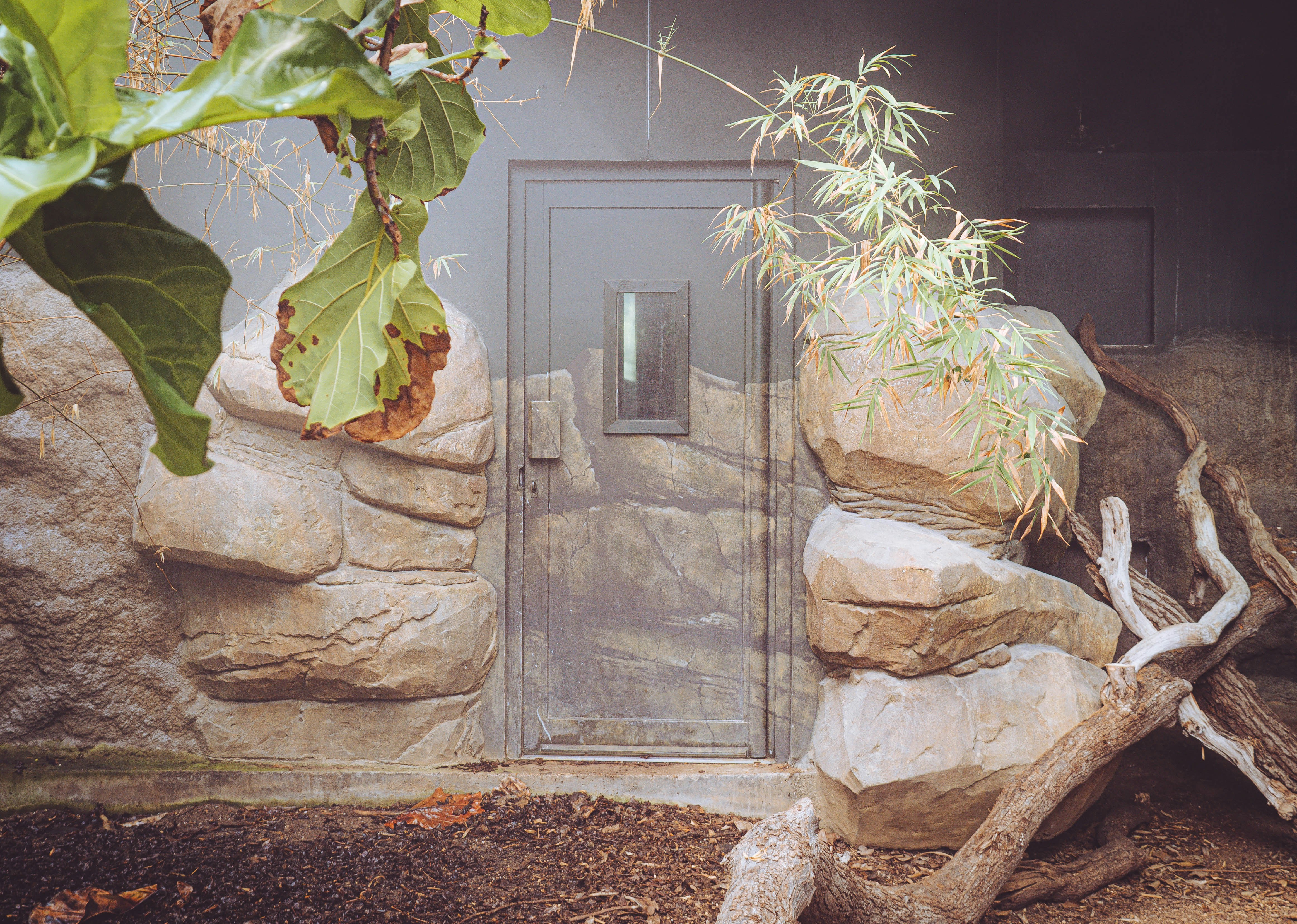 Hidden Door Among Stones: A Quiet Stone Entrance