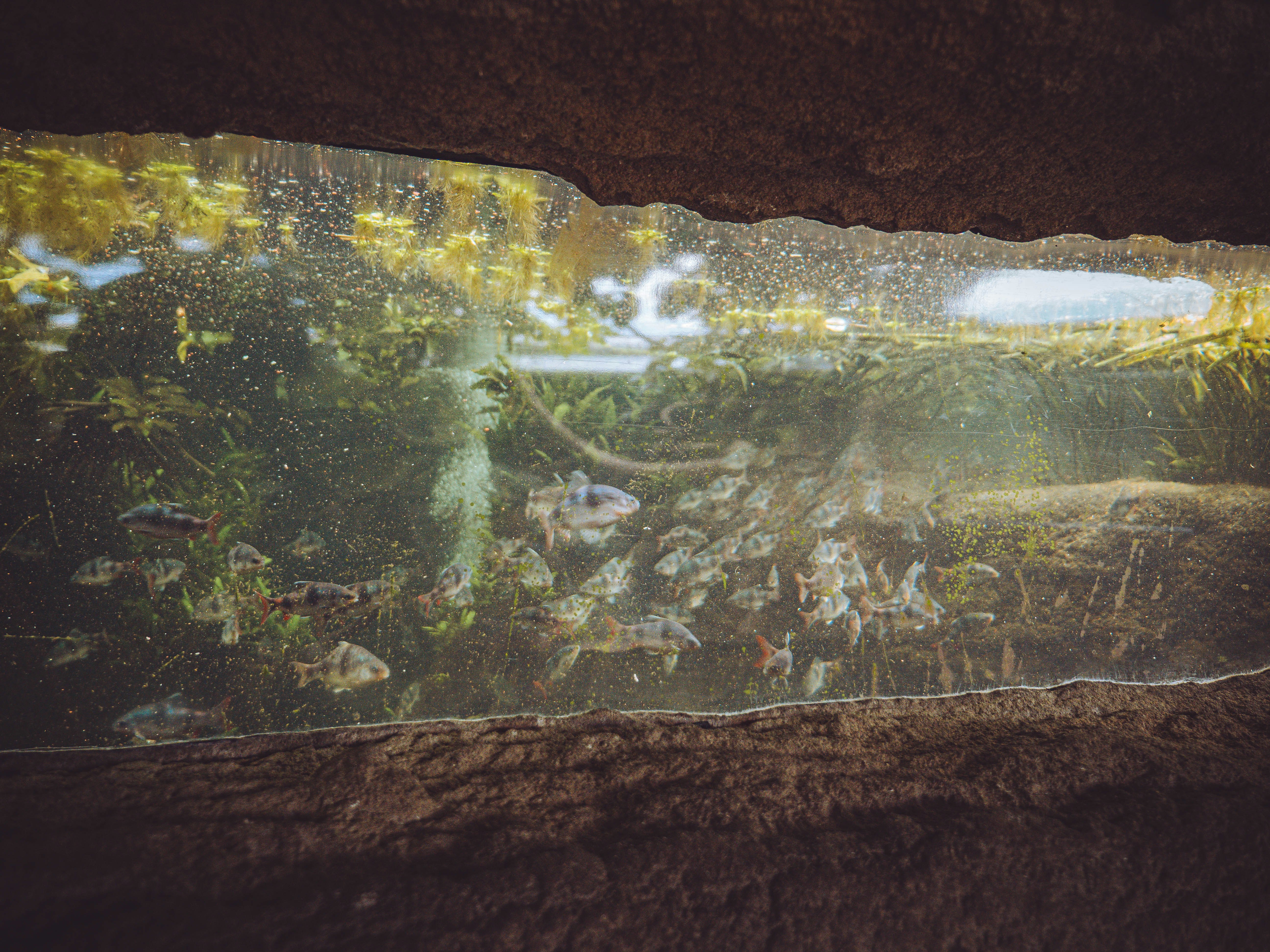 Fractured Window of Light: Submerged Reef Scene Beyond a Stone Barrier