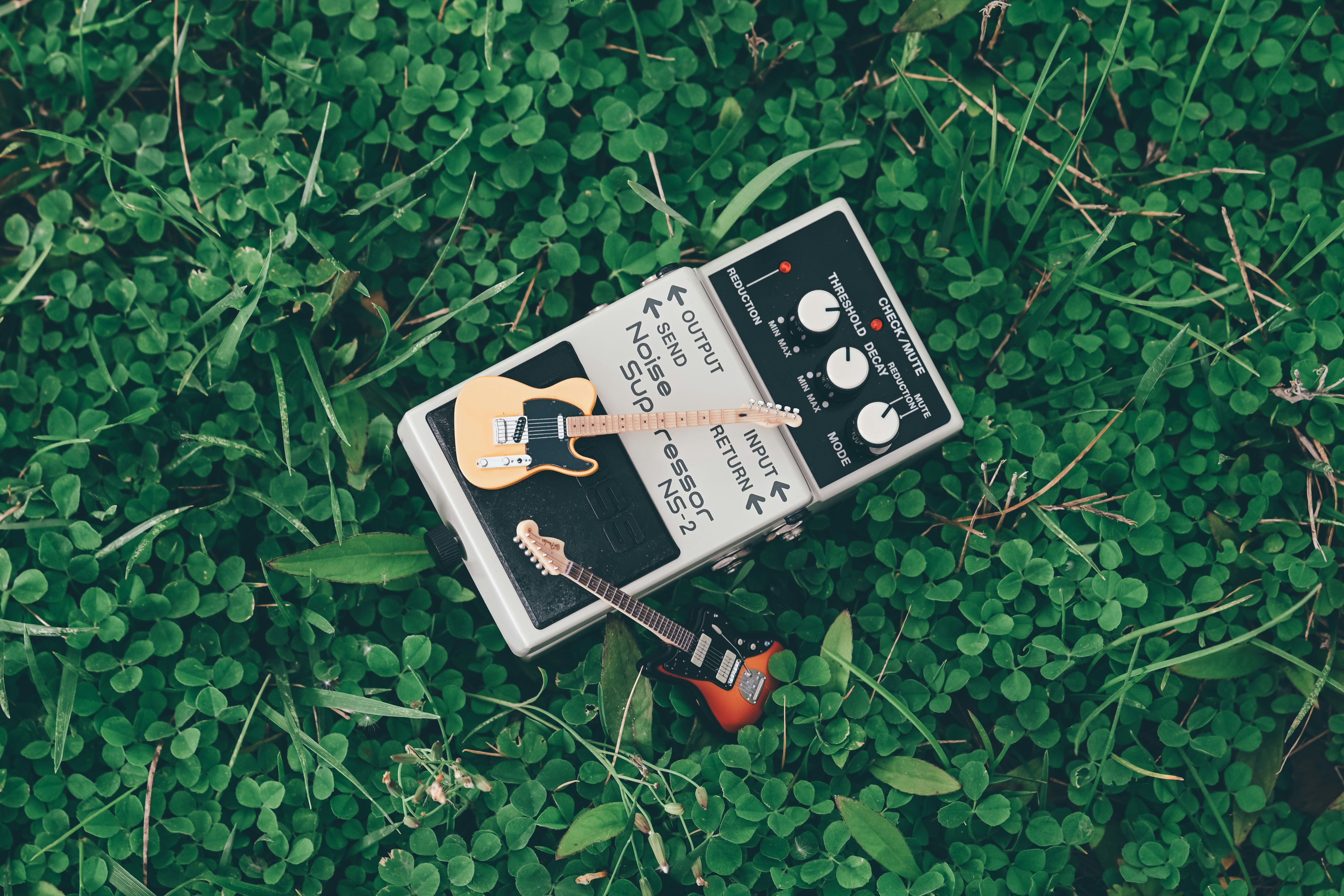 Lost Gear Among Green Haze: A Miniature Fretboard Resting in Clovers