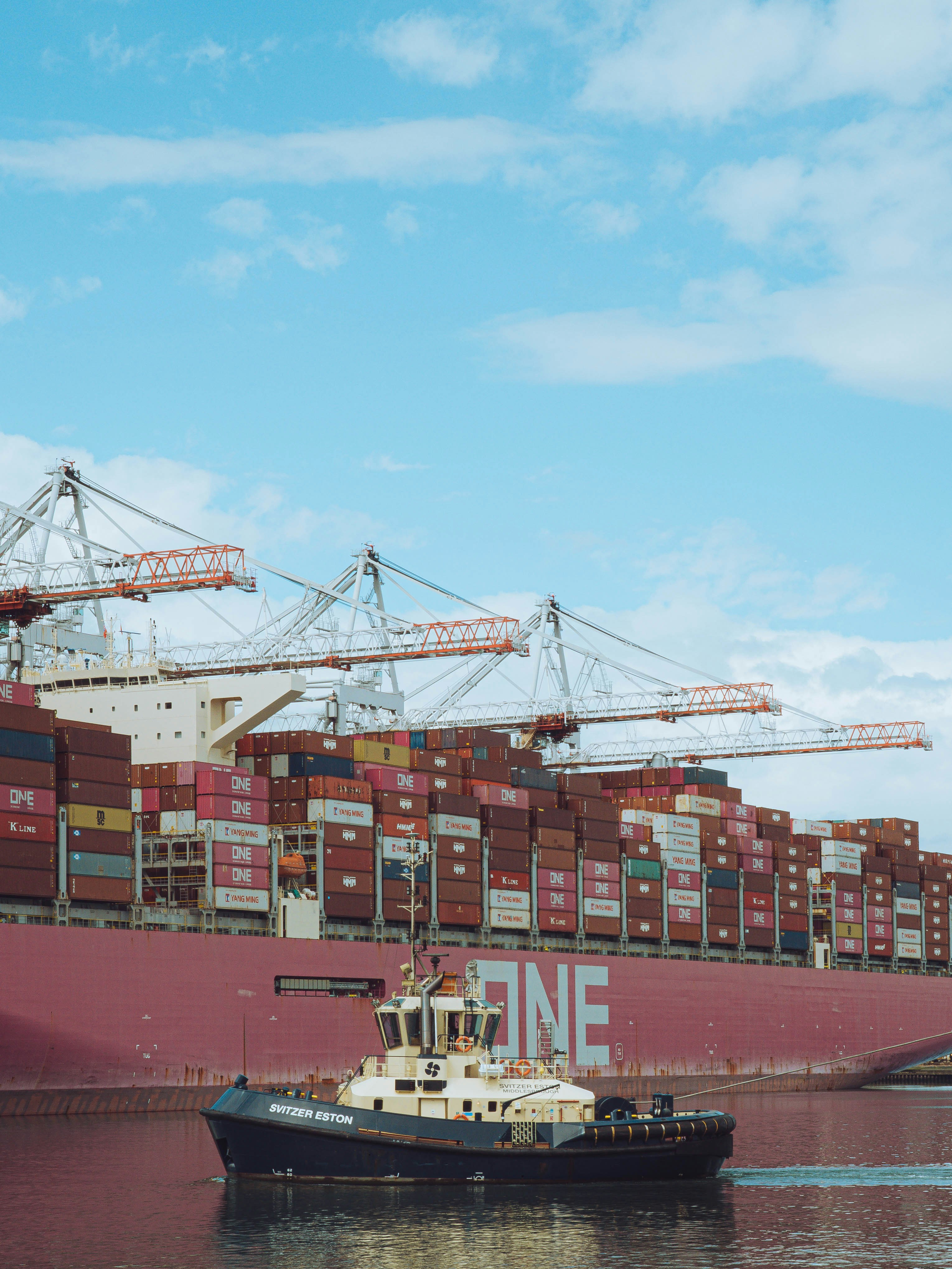 Towboat and Container Armada: Harbor Crane Ballet