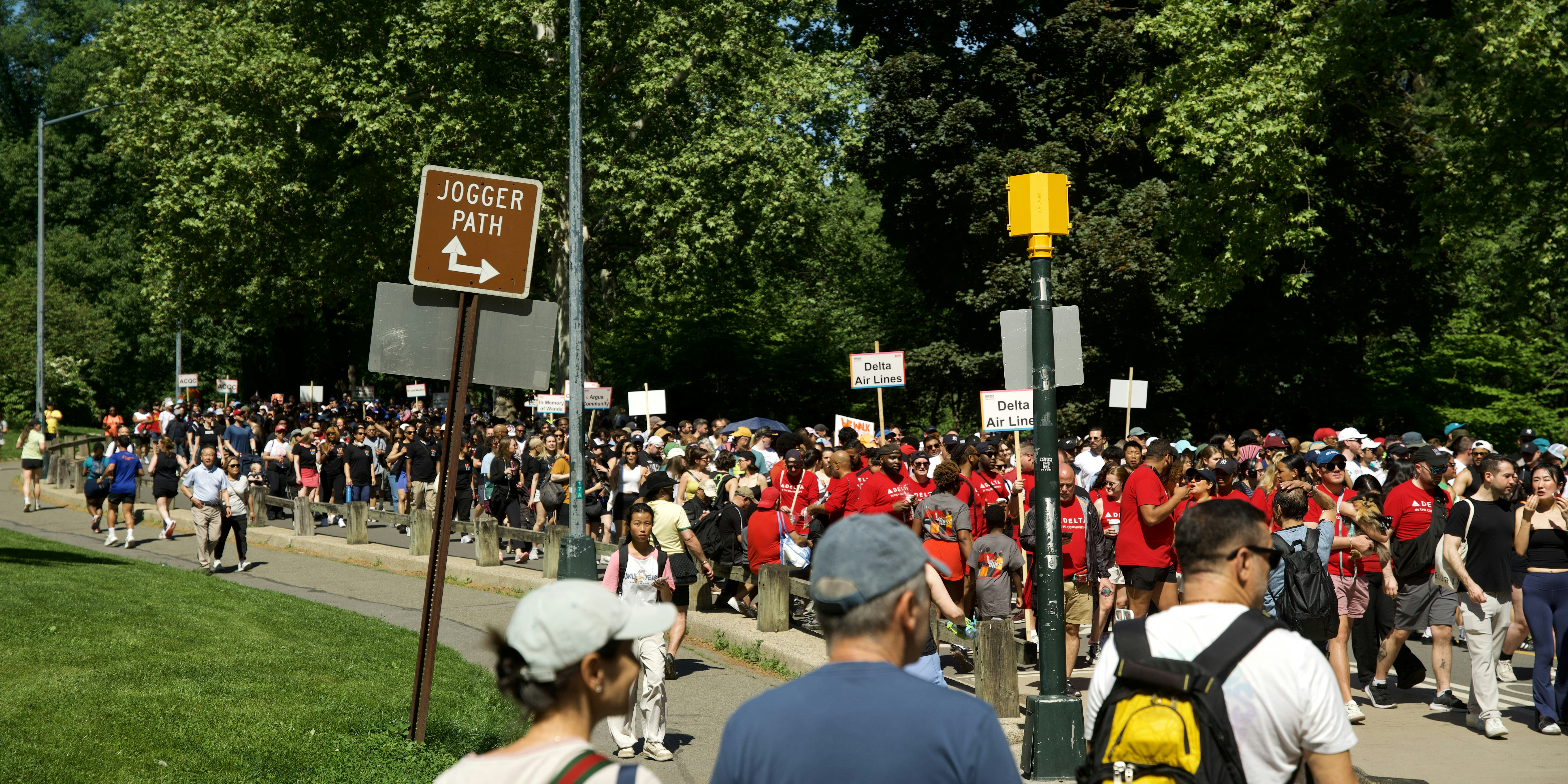 Crowd at a Park Rally: A Sea of People with Signage