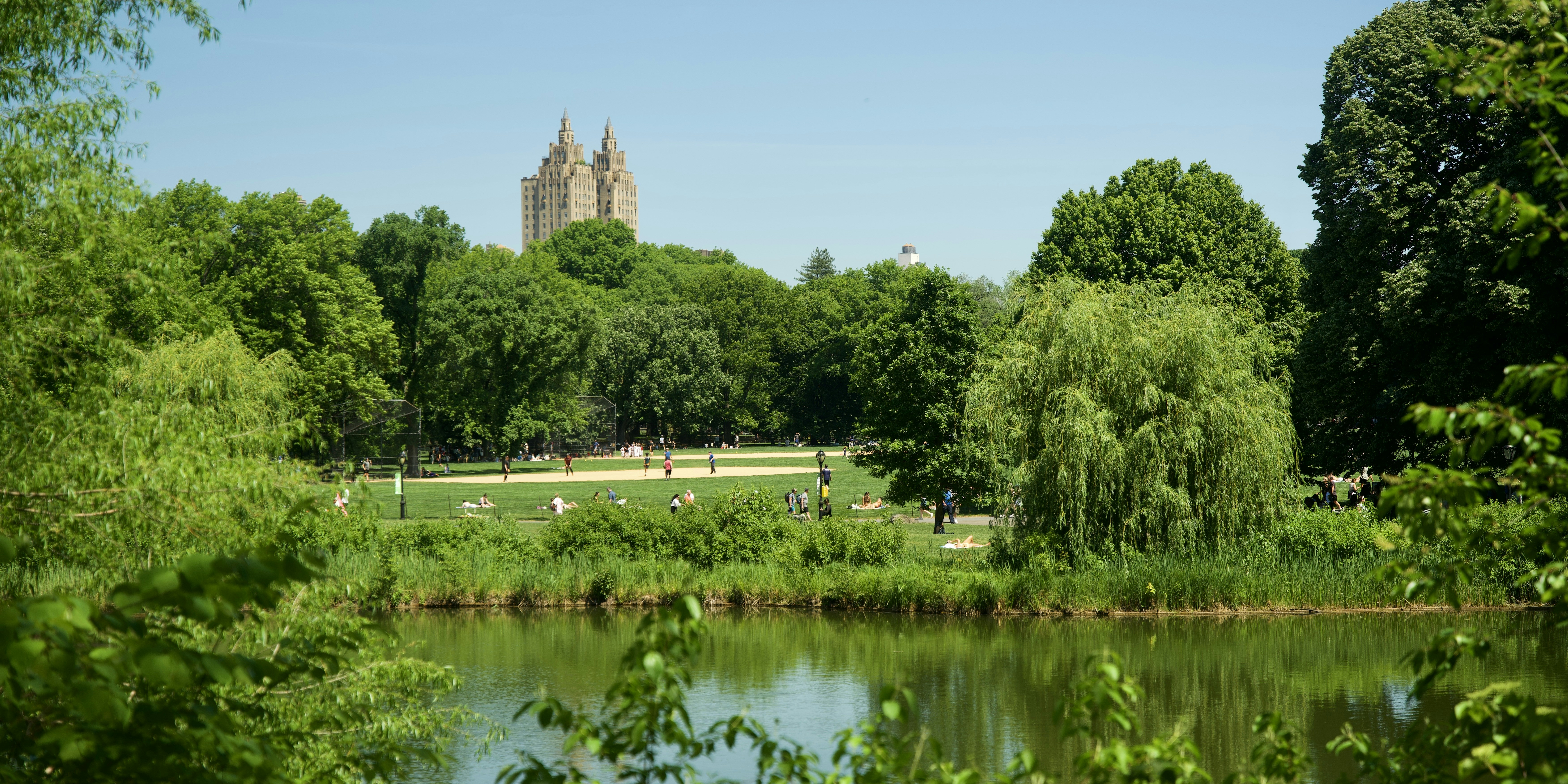City Park Confluence: A Riverside Glimpse Toward A Quiet Cathedral