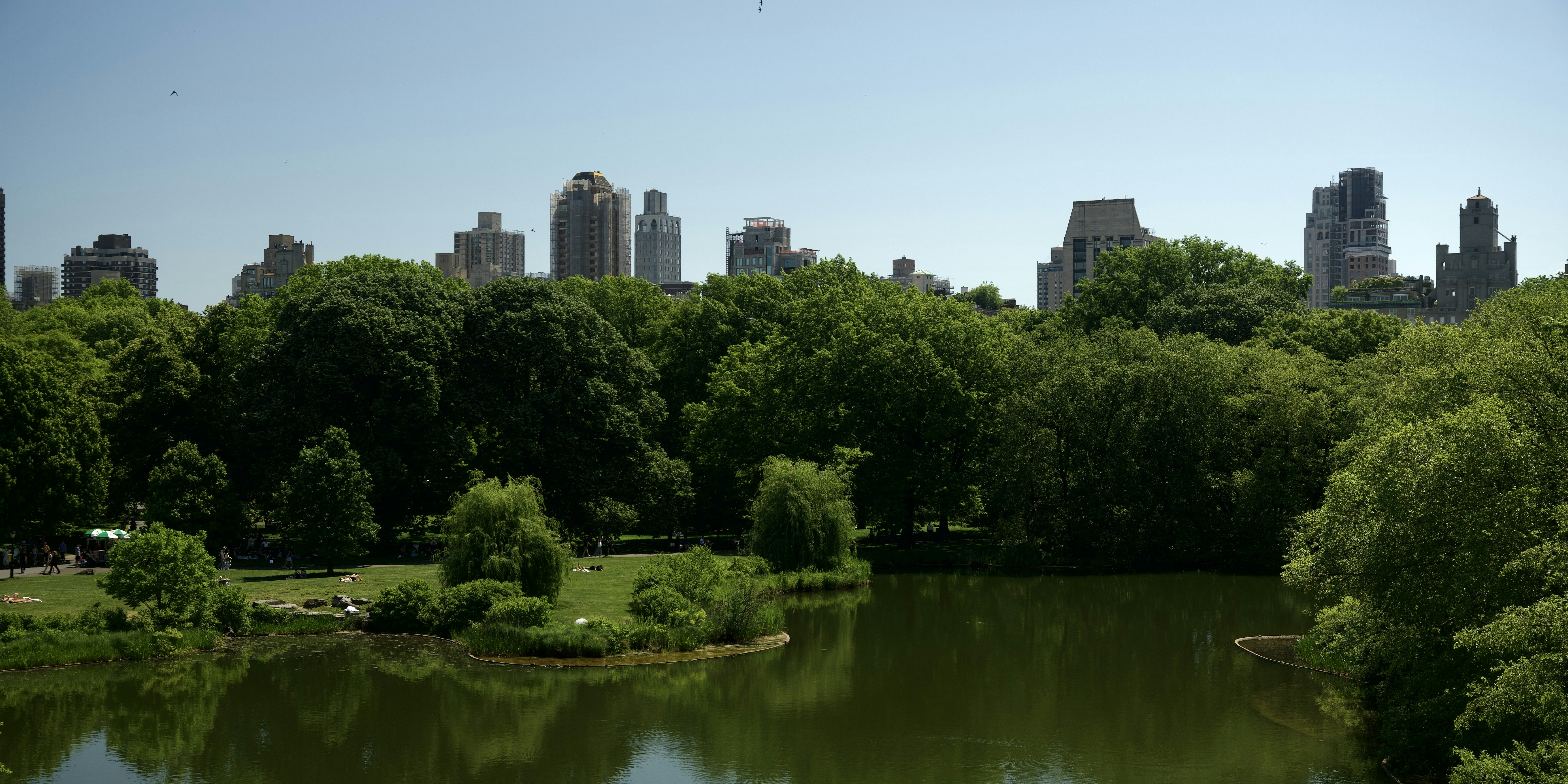 Urban Oasis: Trees Framing a City Skyline by the Park Lake