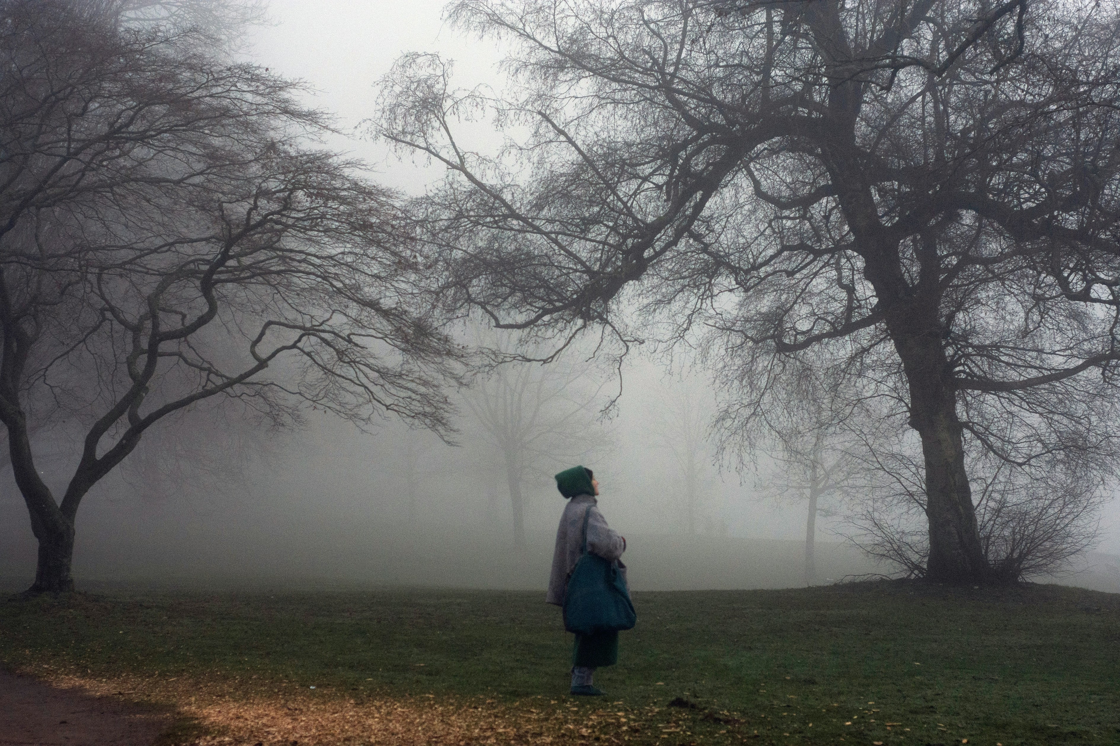 Mist-Soaked Path: A Lone Figure in a Quiet Park