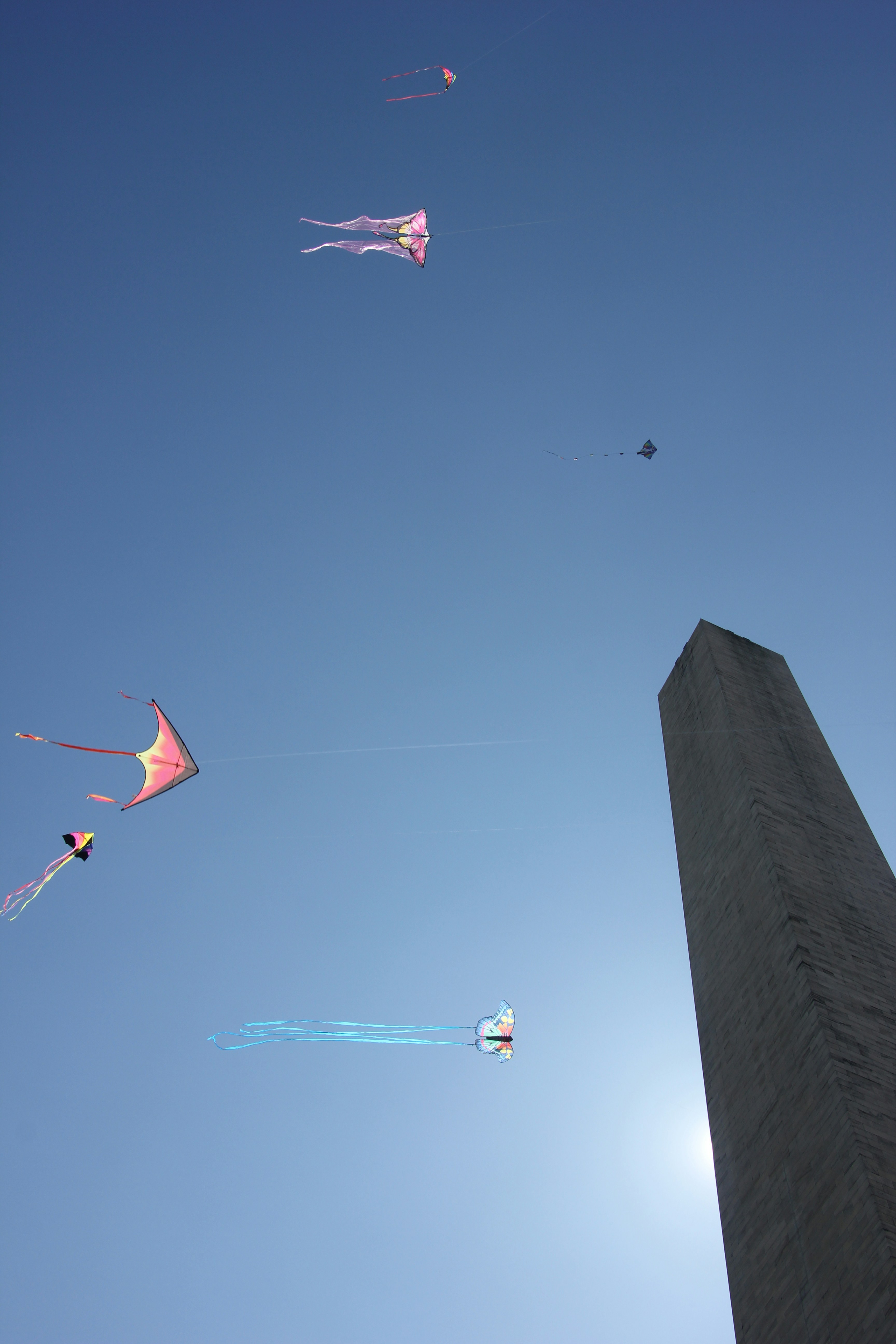 Kite Parade over the Monument: Colorful Tails Against a Clear Sky