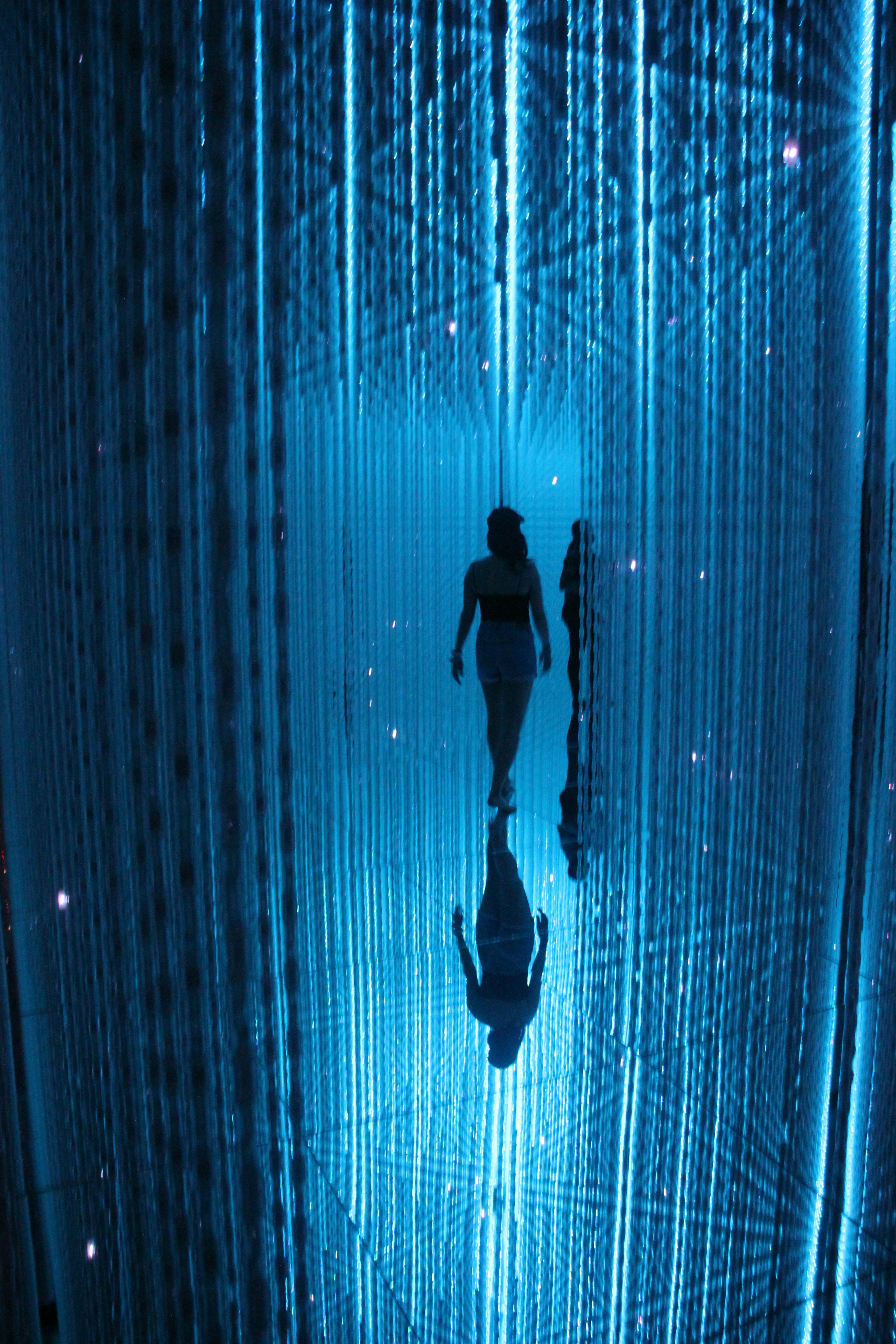Mirrored Descent into the Neon Forest