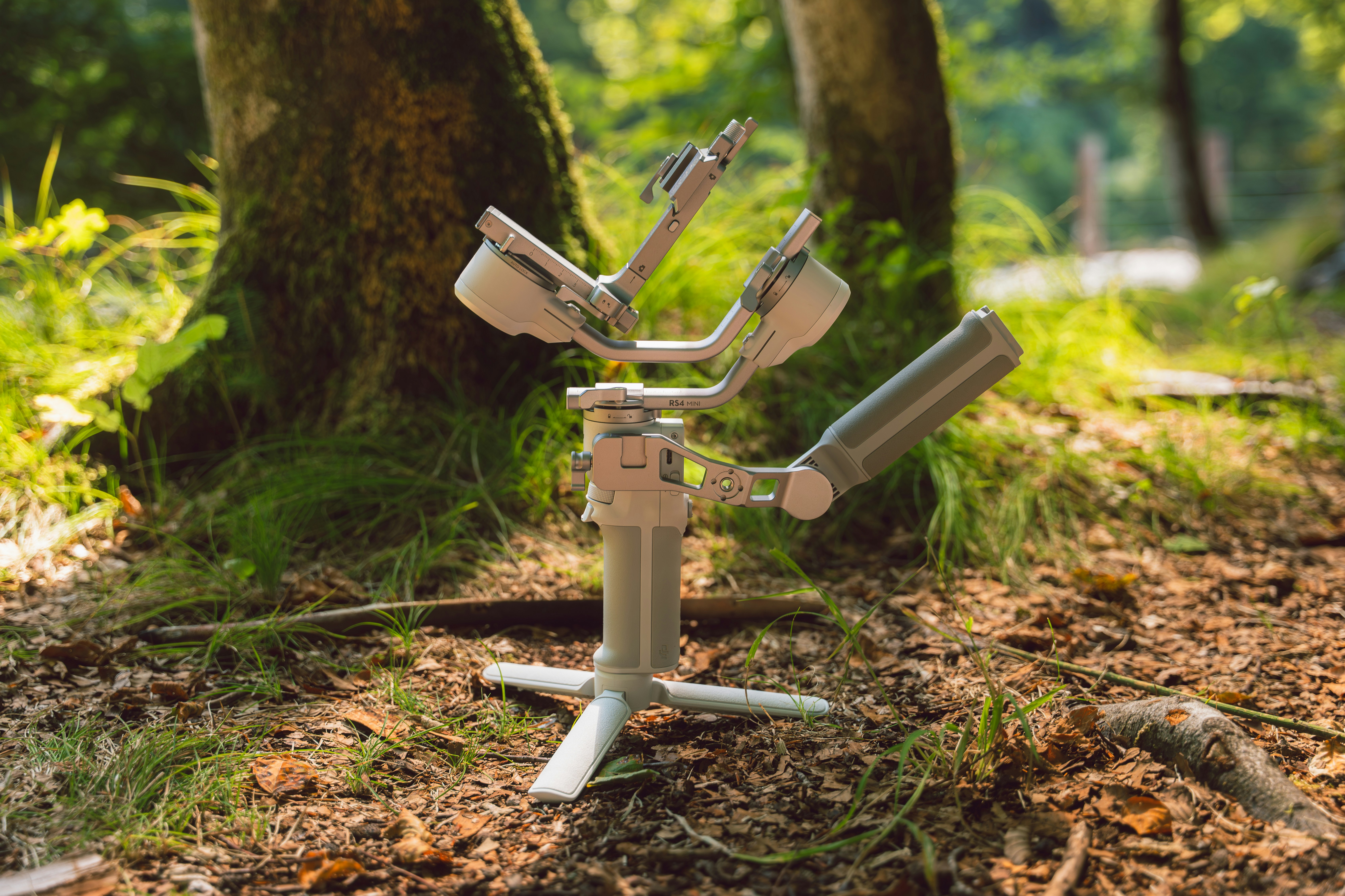 Forest Stage: A Bino-Mechanical Rig Stakes Its Ground