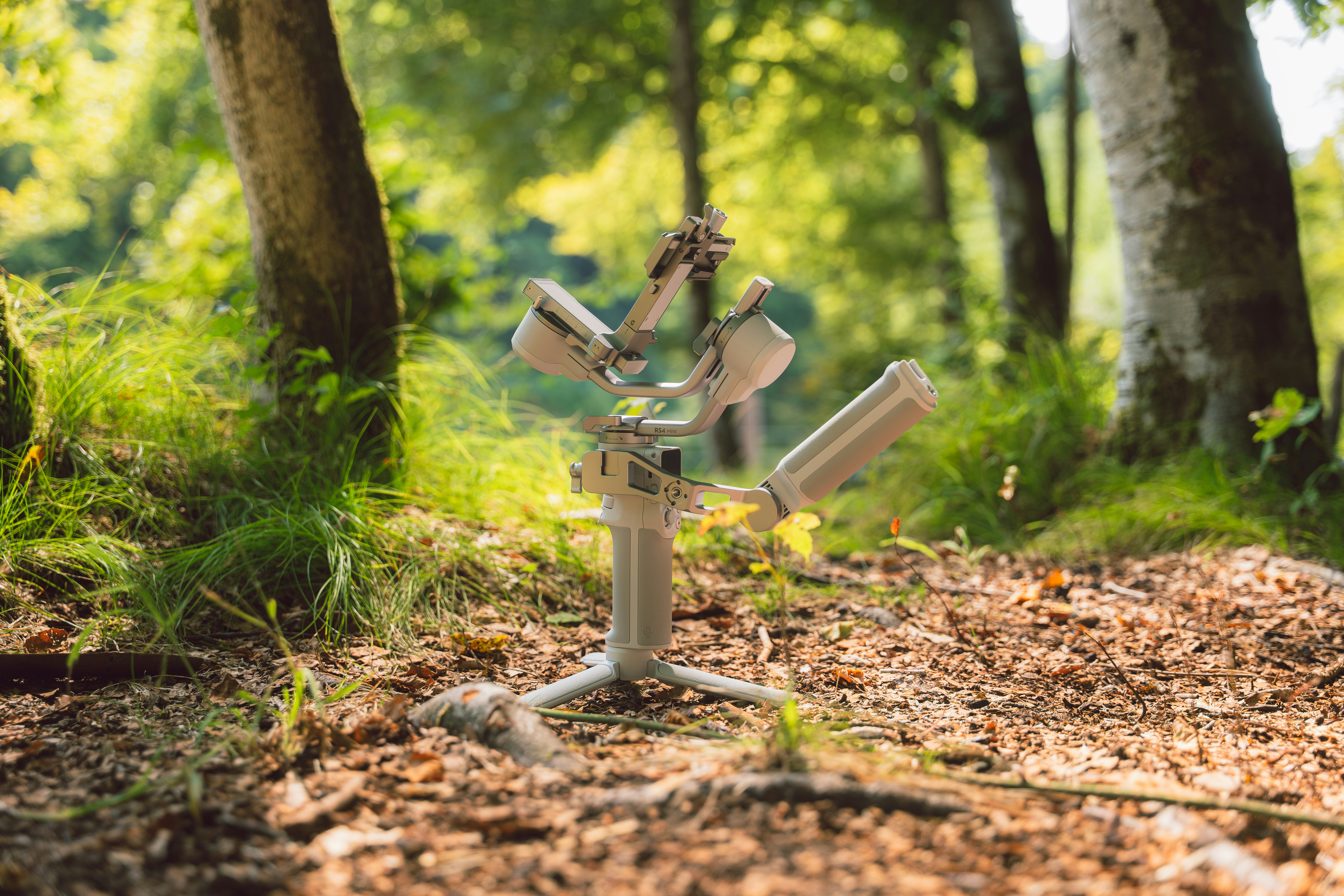 Forest Bench: A Portable Tripod Stand Takes a Quiet Center Stage