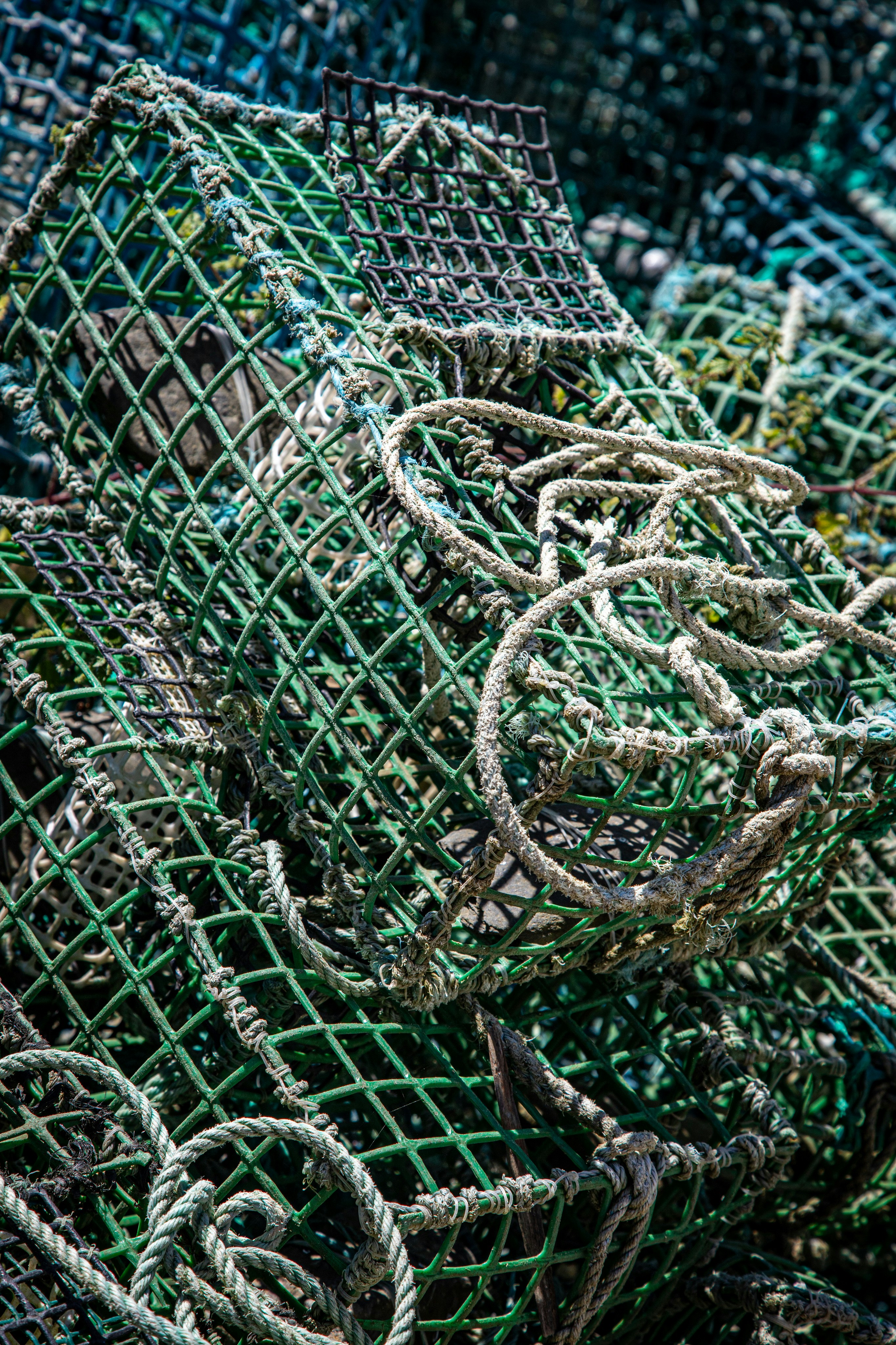 Tangled Green Mesh: Weathered Nets and Ropes in a Coastal Tangle