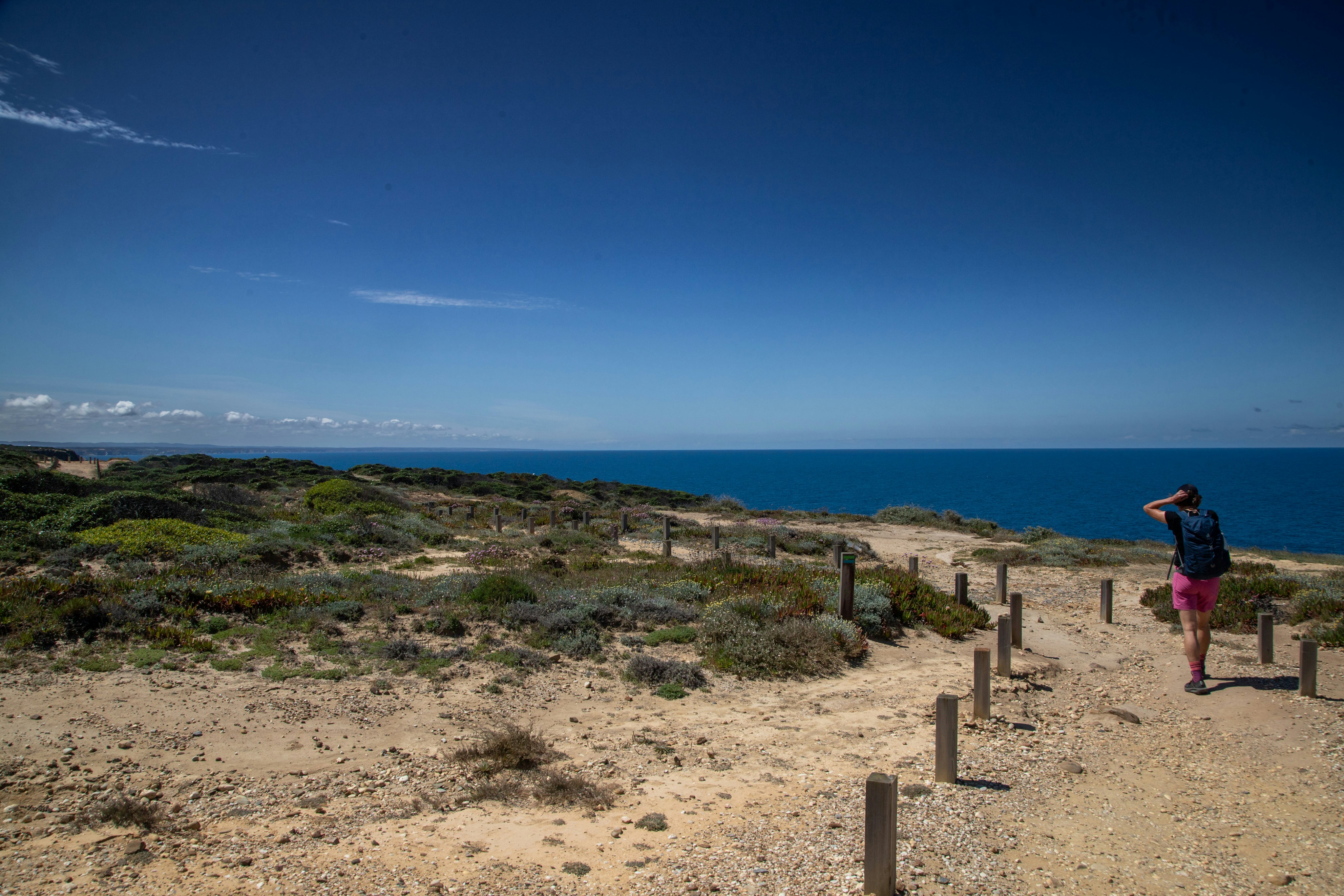 Coastal Pathway: Sunlit Promenade to the North Sea Horizon