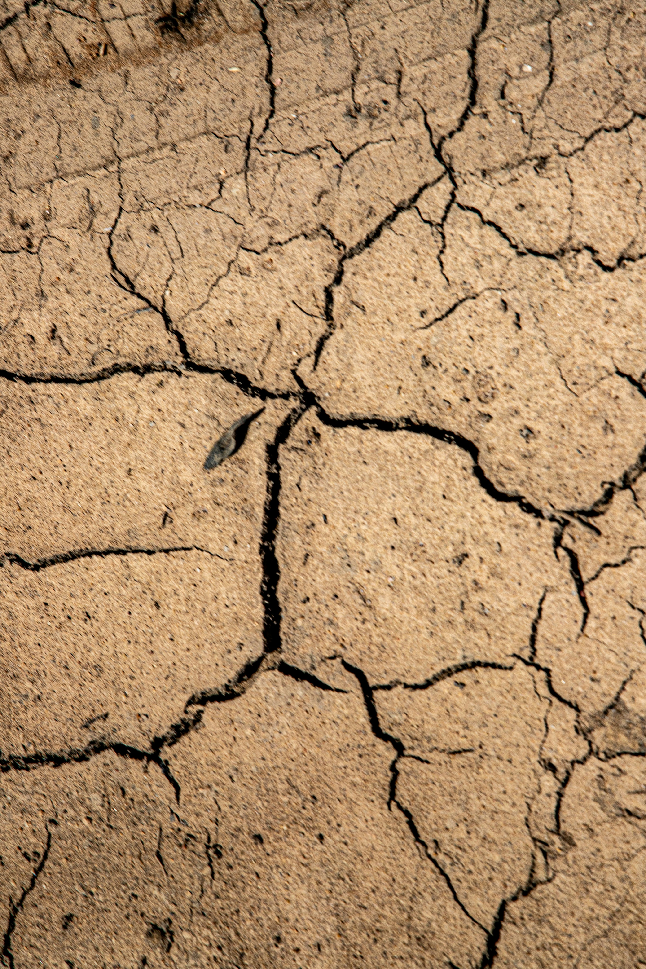 Cracked Desert Canvas: A single fissure running through parched earth