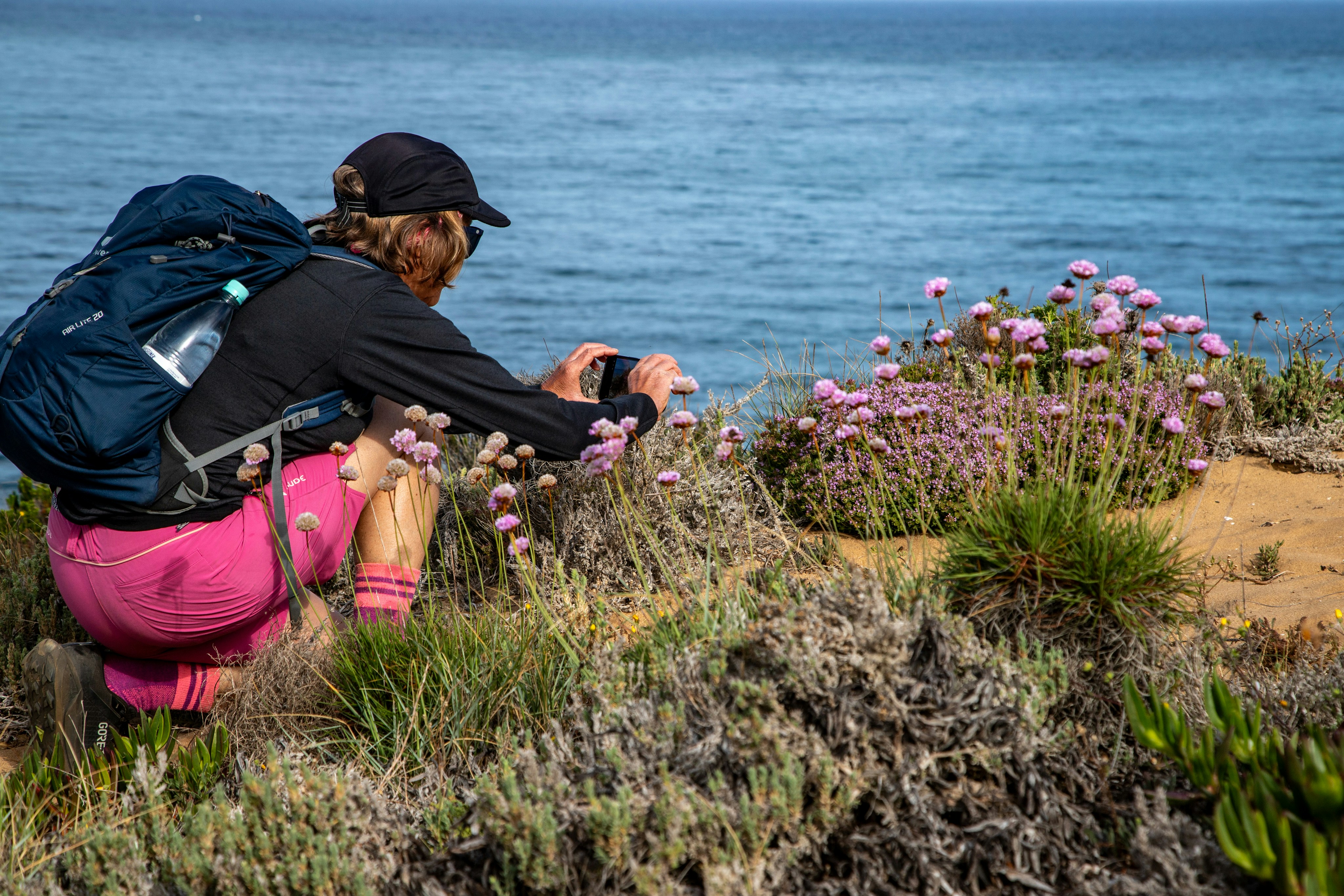Along the Clifftop Lens: A Hiker in Pink Amid Ocean Perennials