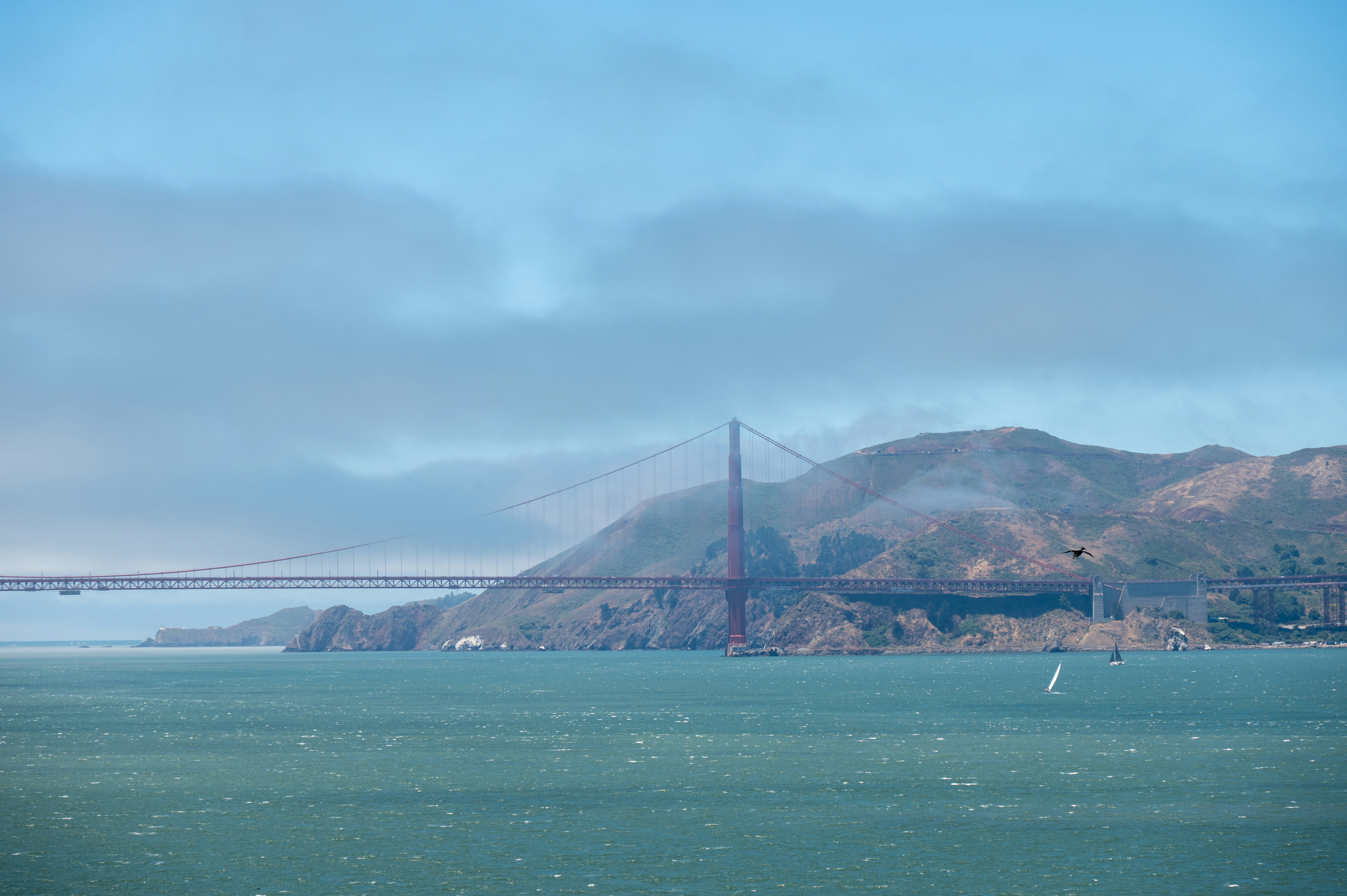 Bridge Arc: Golden Span Over the Quiet Bay
