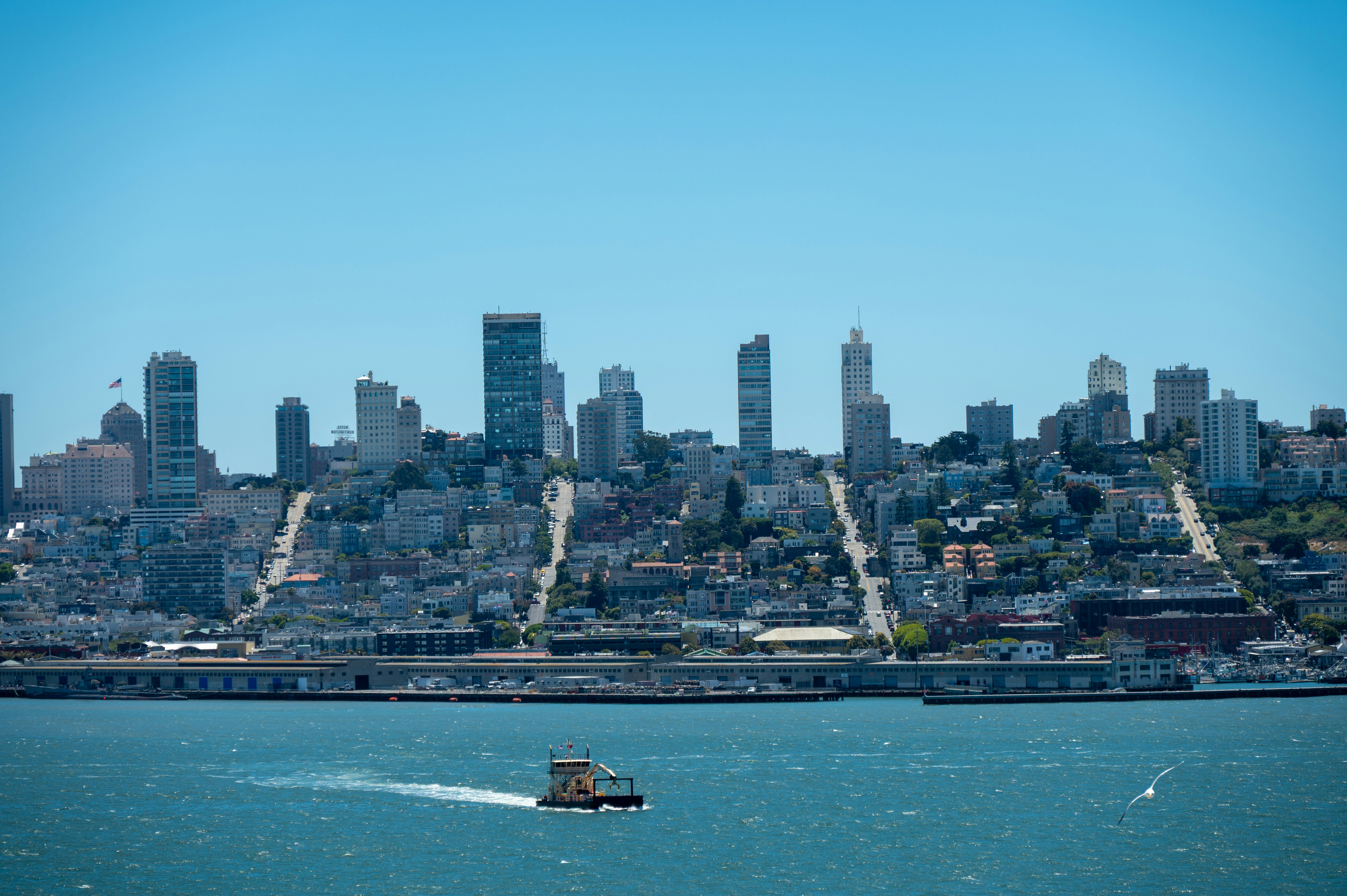 Harbor to Skyline: A Midday Pan of City by the Bay