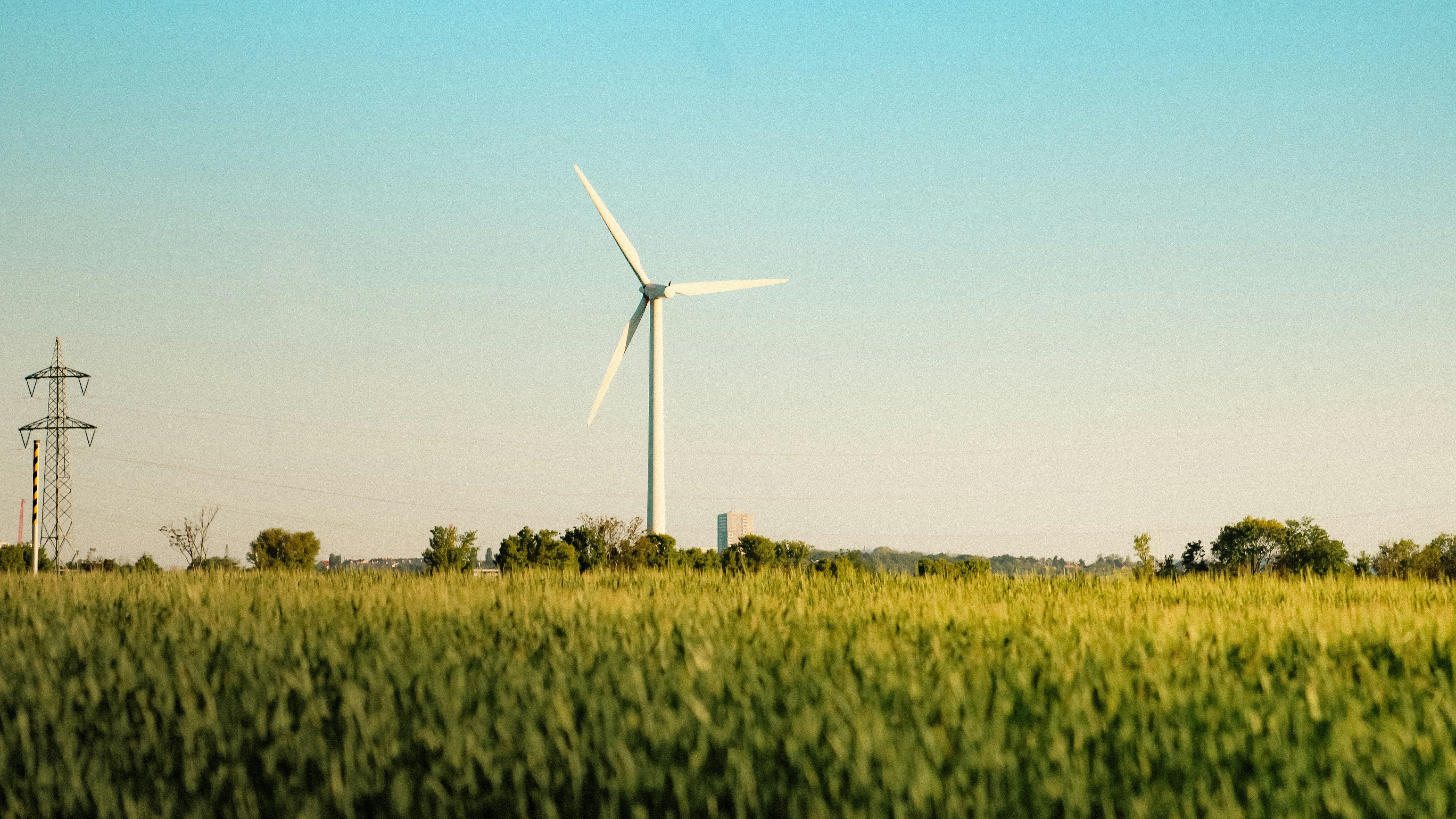 Whispering Turbine Over a Golden Field