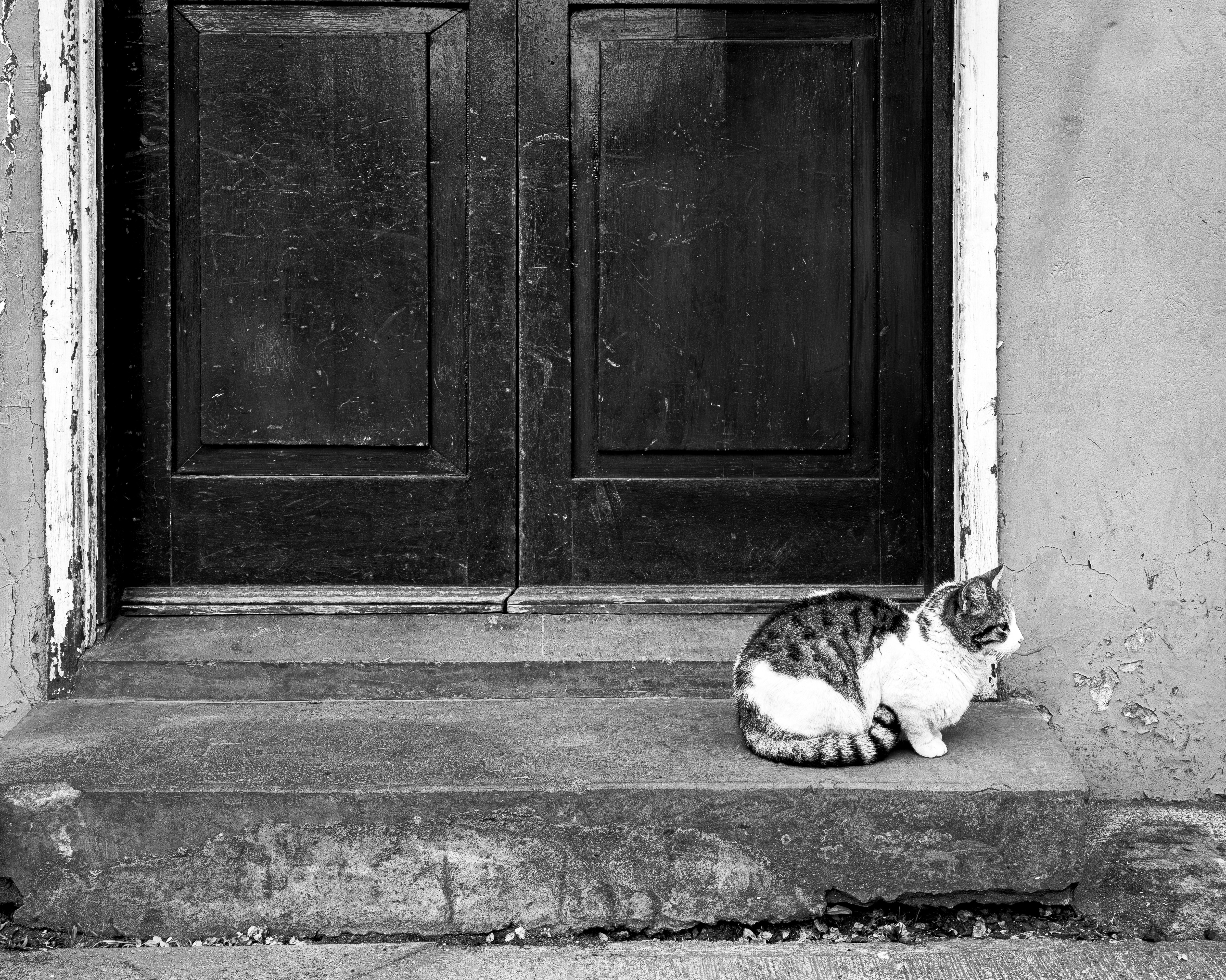 A Quiet Watcher on a Concrete Threshold