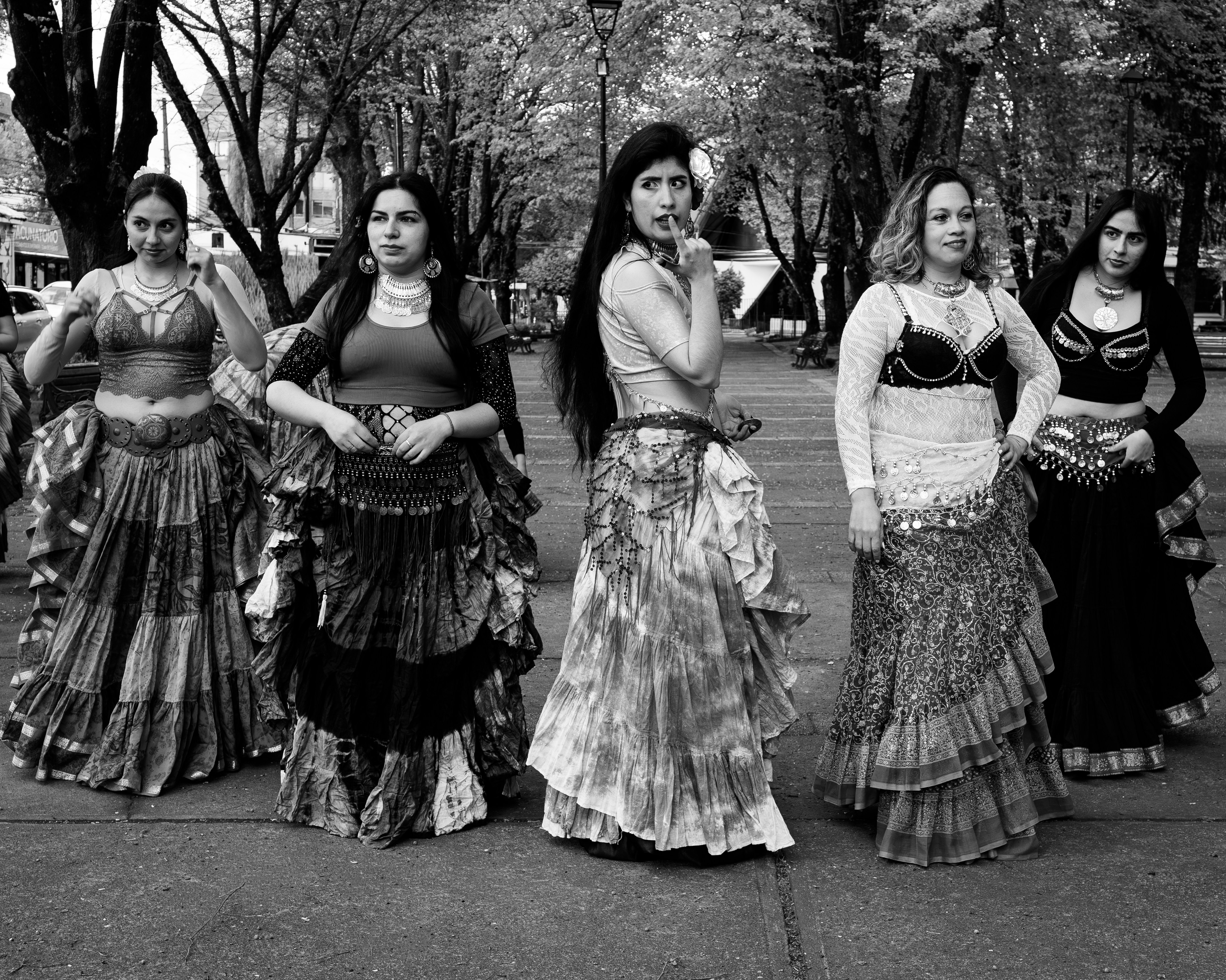 Five Dames in Velvet: A Parade of Traditional Silhouettes