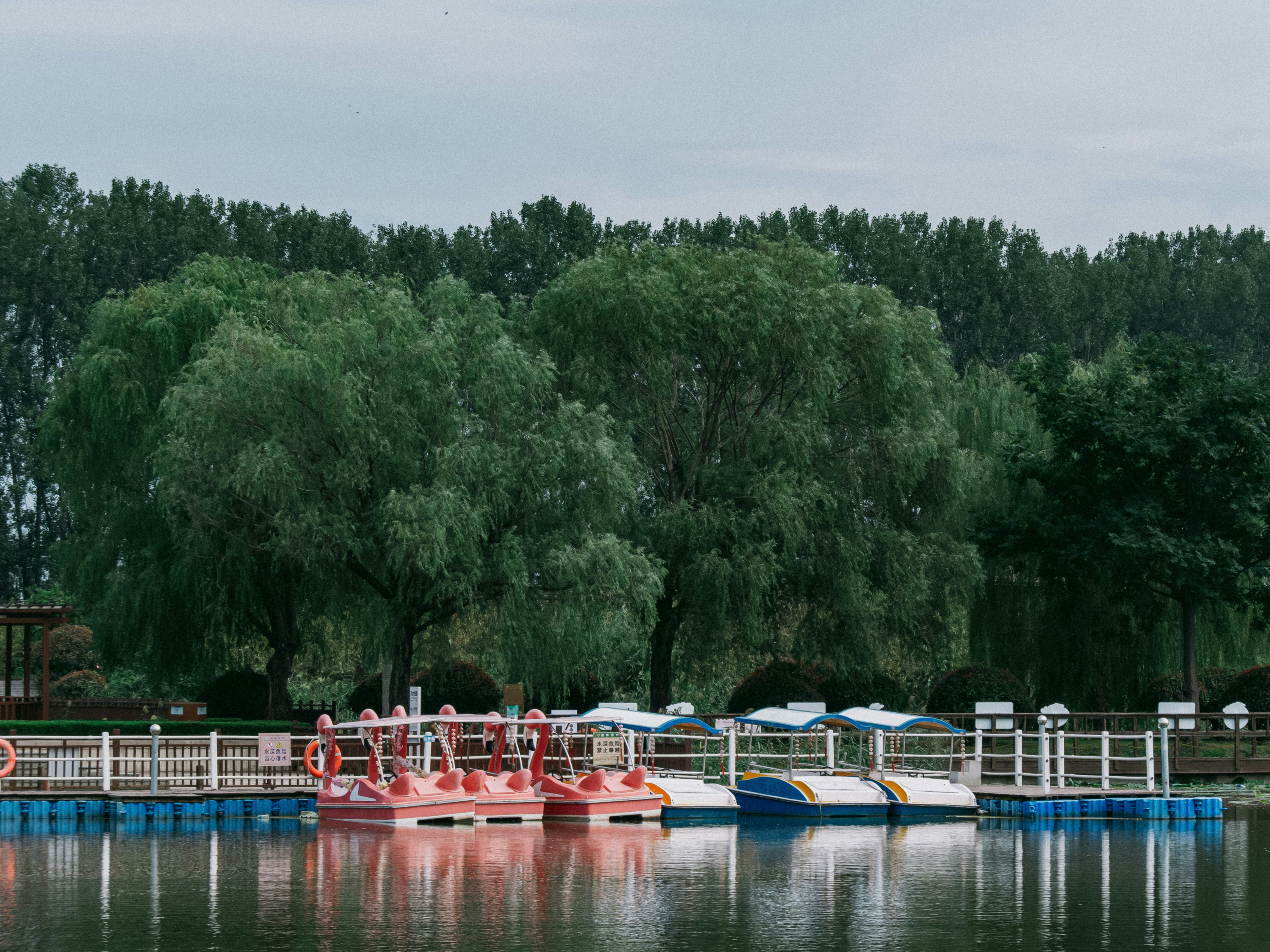 Pastel Paddleboats Rest Along a Tranquil Riverside