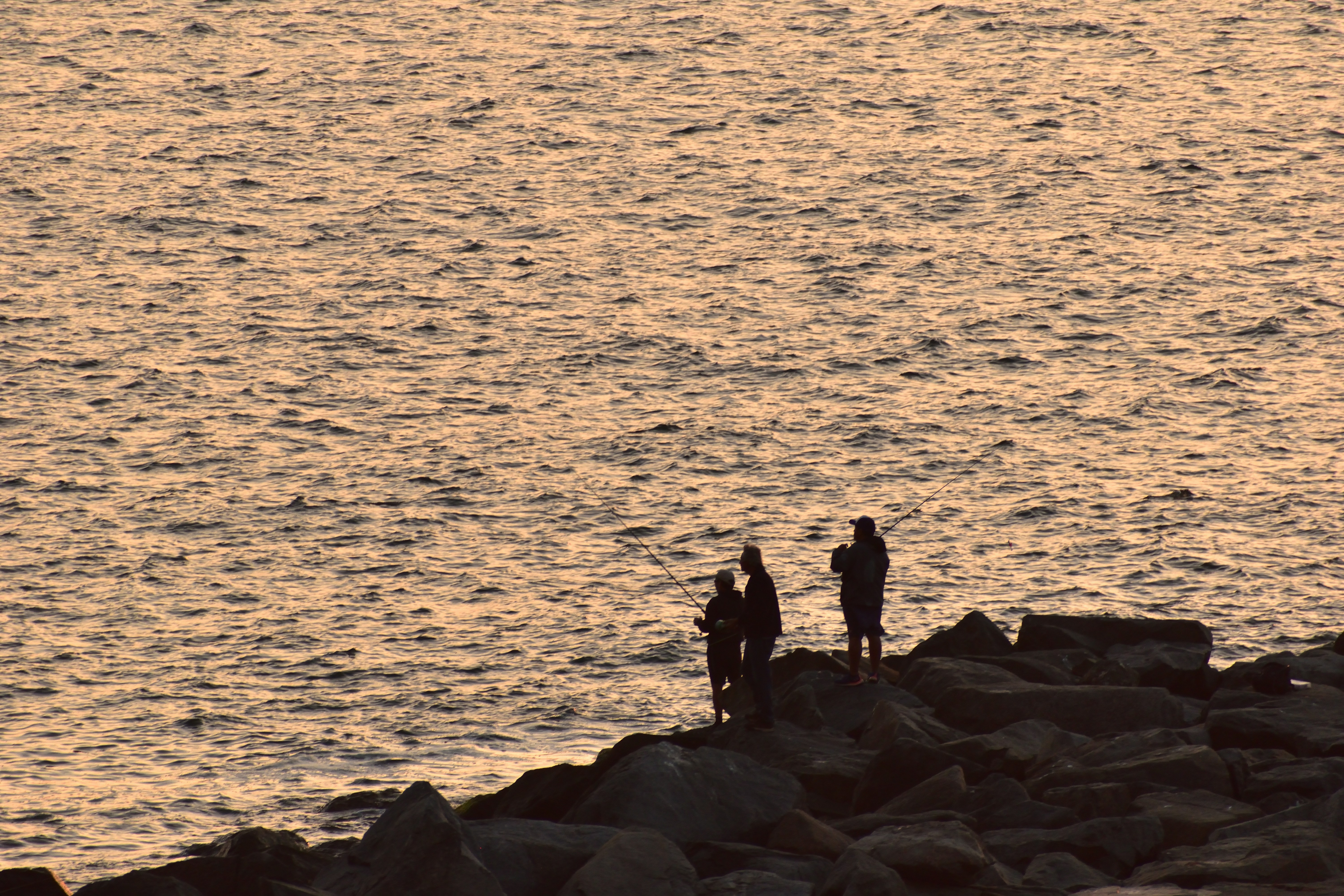 Ringing silhouettes on the rocky breakwater at dusk