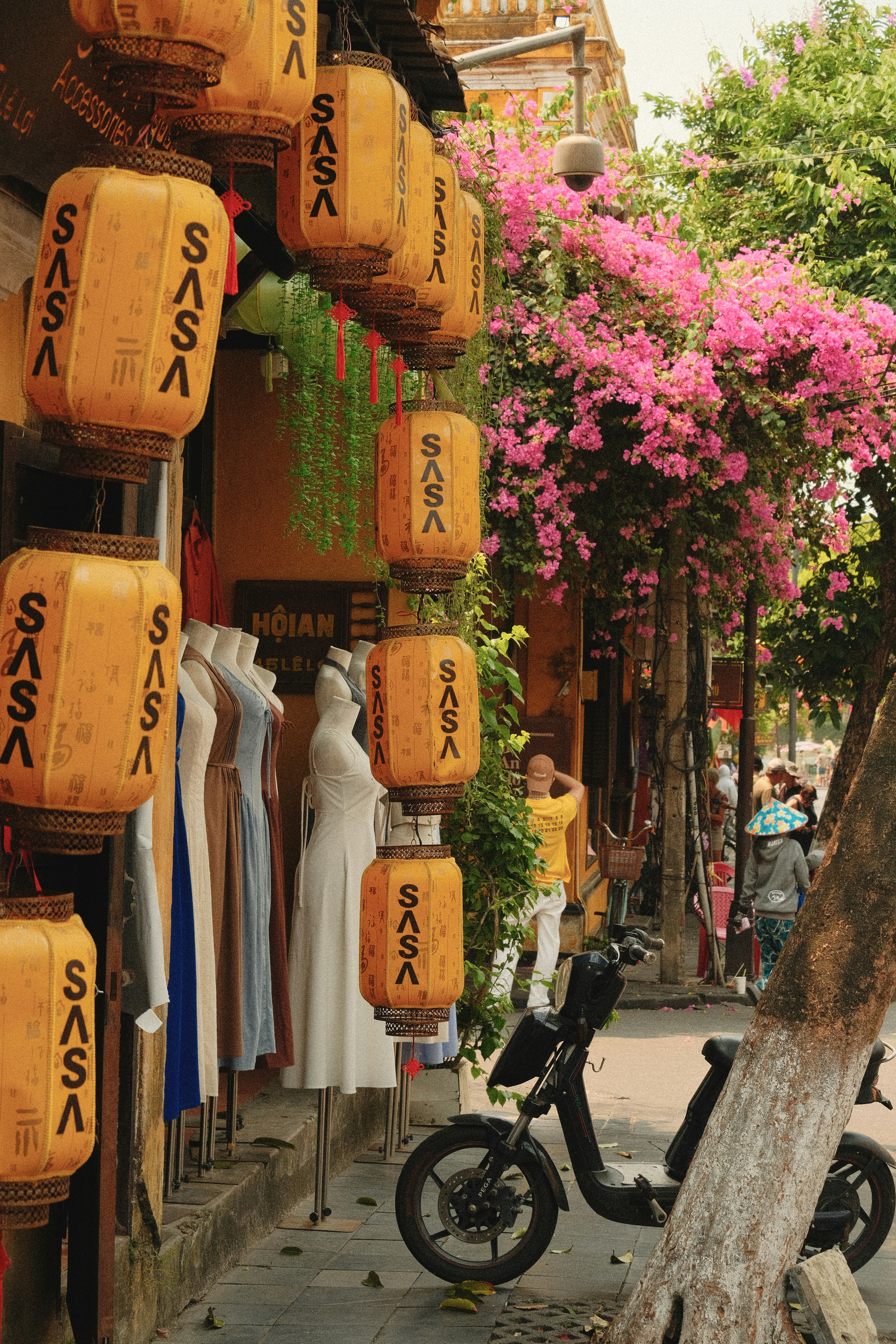 Lanterns, Fabrics, and a Streetfront Bloom