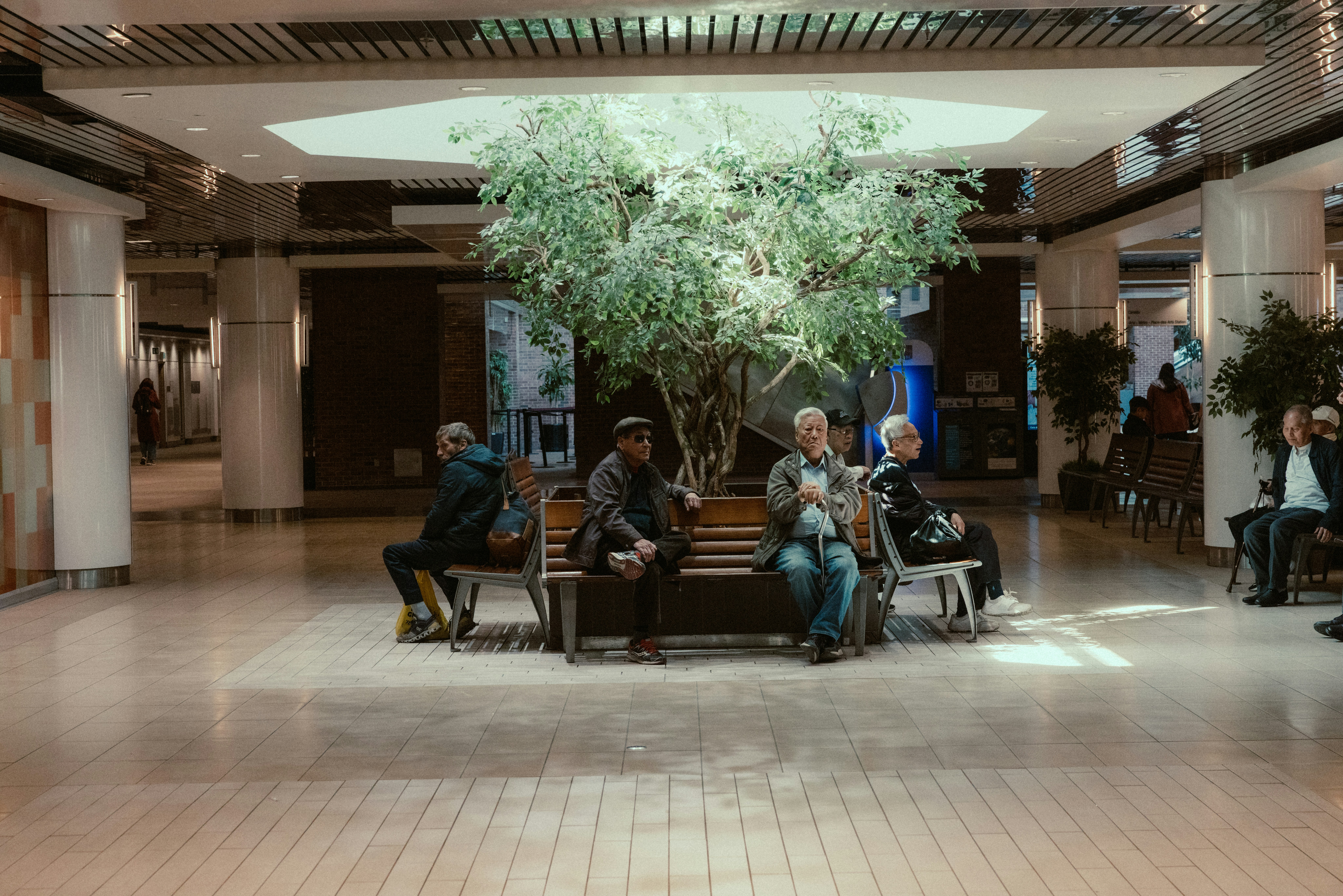 Urban Orchard: Voices Adrift Under Fluorescent Skies