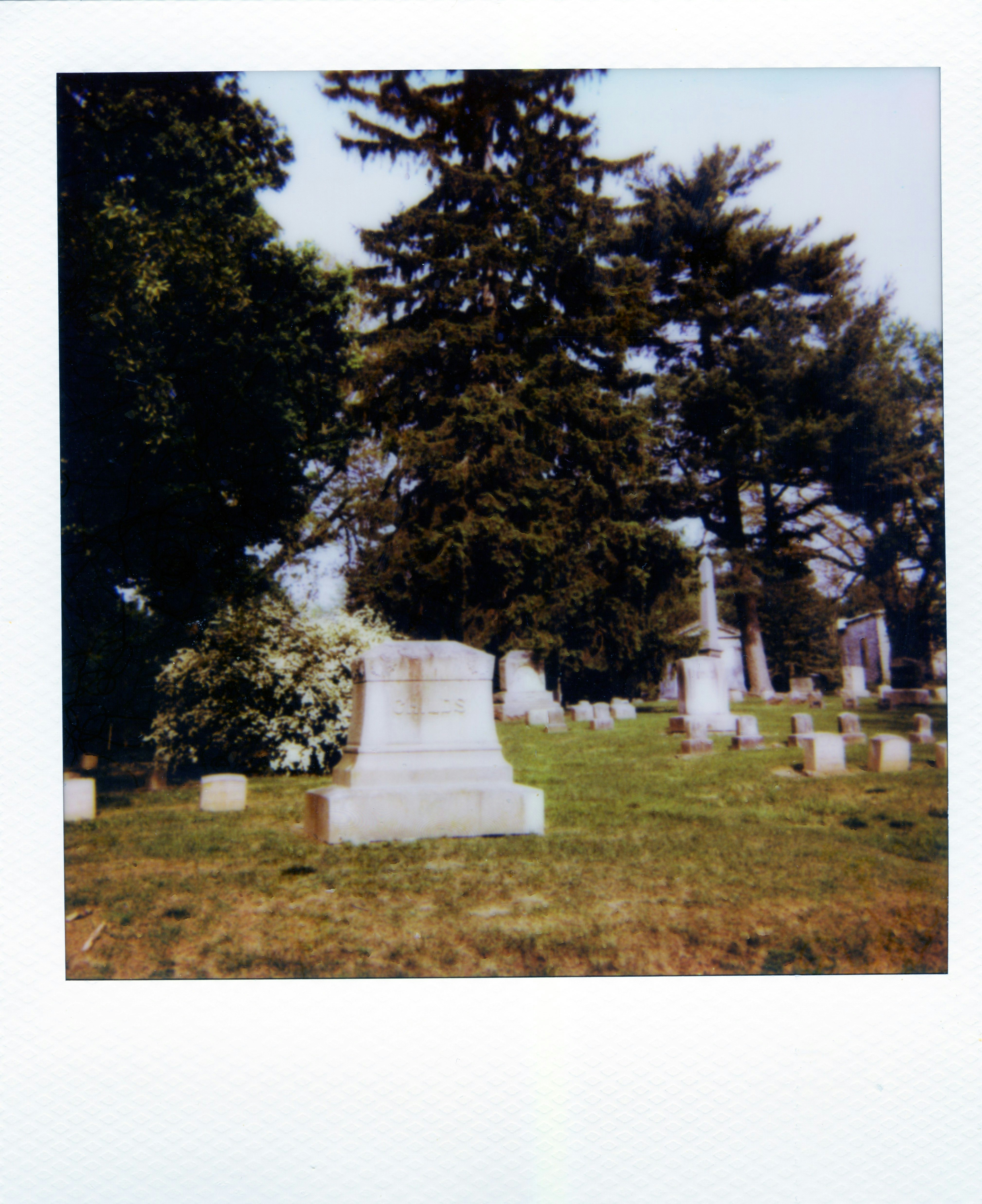Lápidas y árboles en un cementerio cubierto de césped foto – Imagen de ...