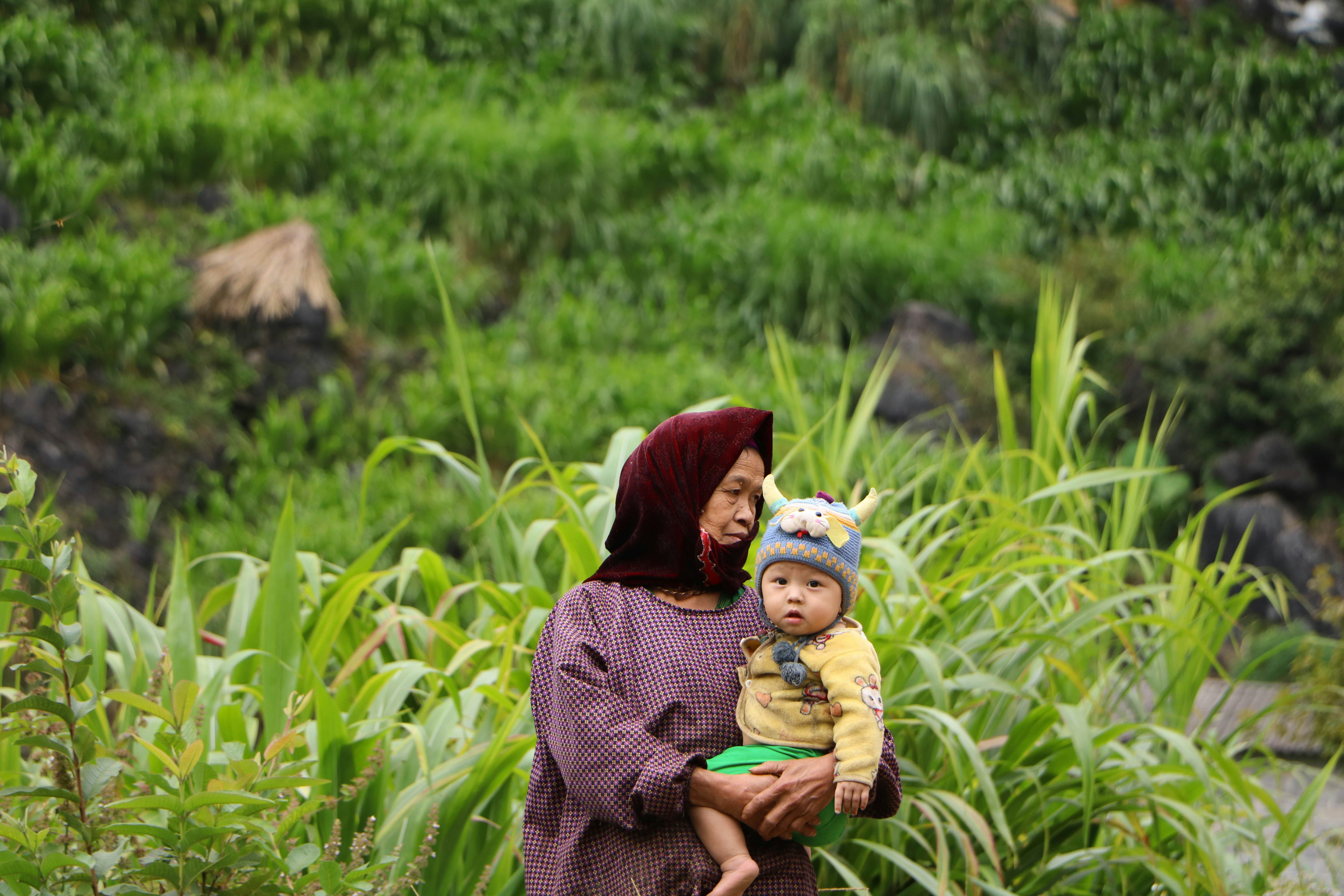 Grandmother's Gentle Watch over a Grandchild in Verdant Fields