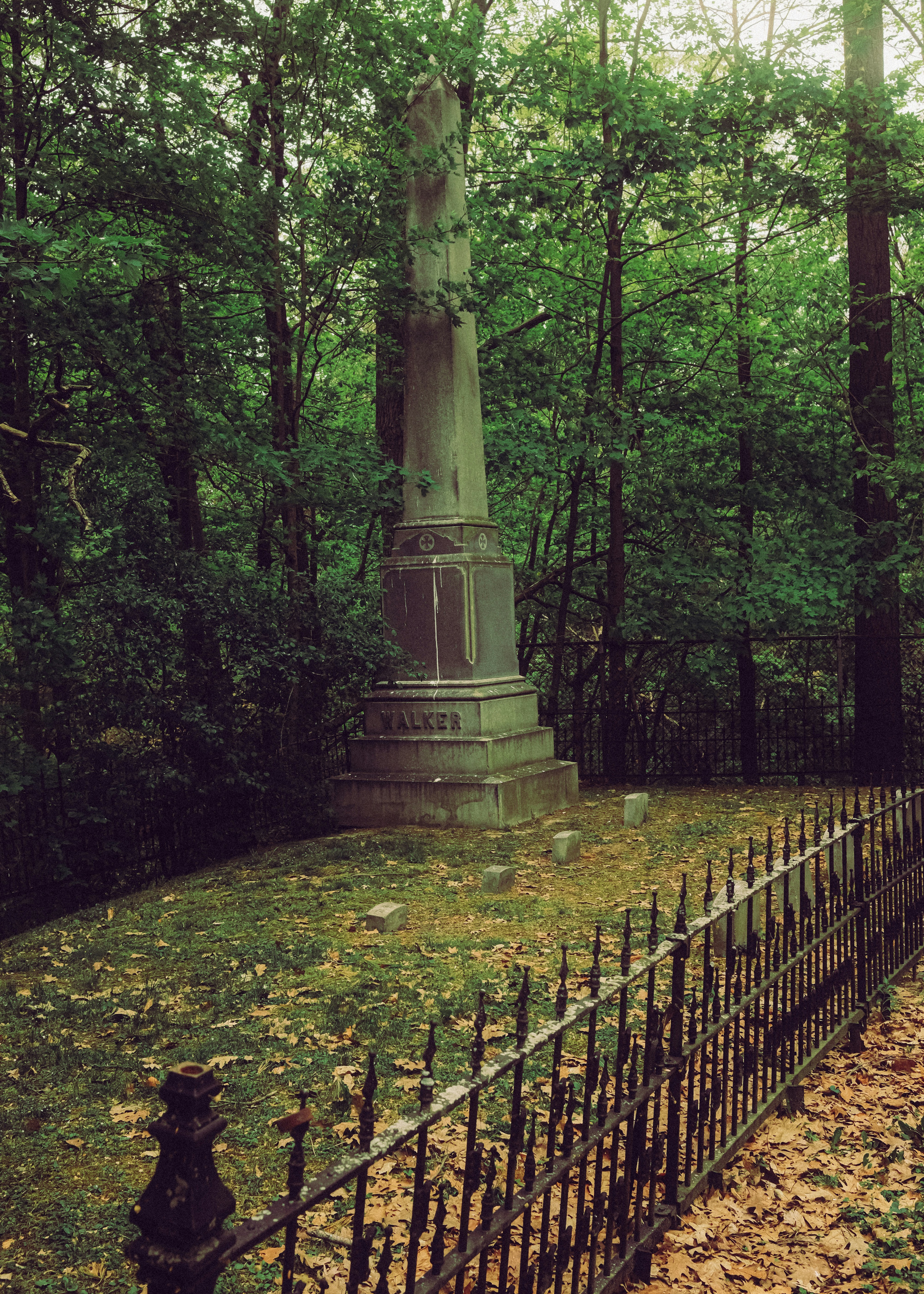 Echoes of the Monument: A Quiet Path Through Greenstone