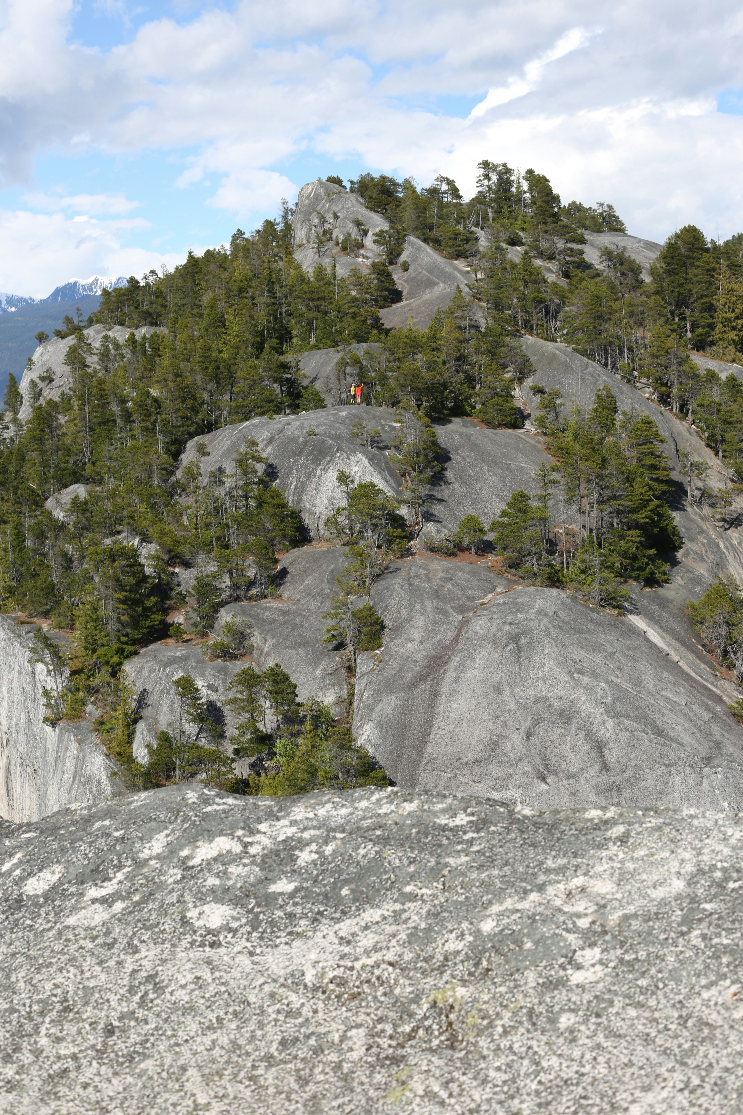 Sumit of Stone and Pine on a Mountain Spine