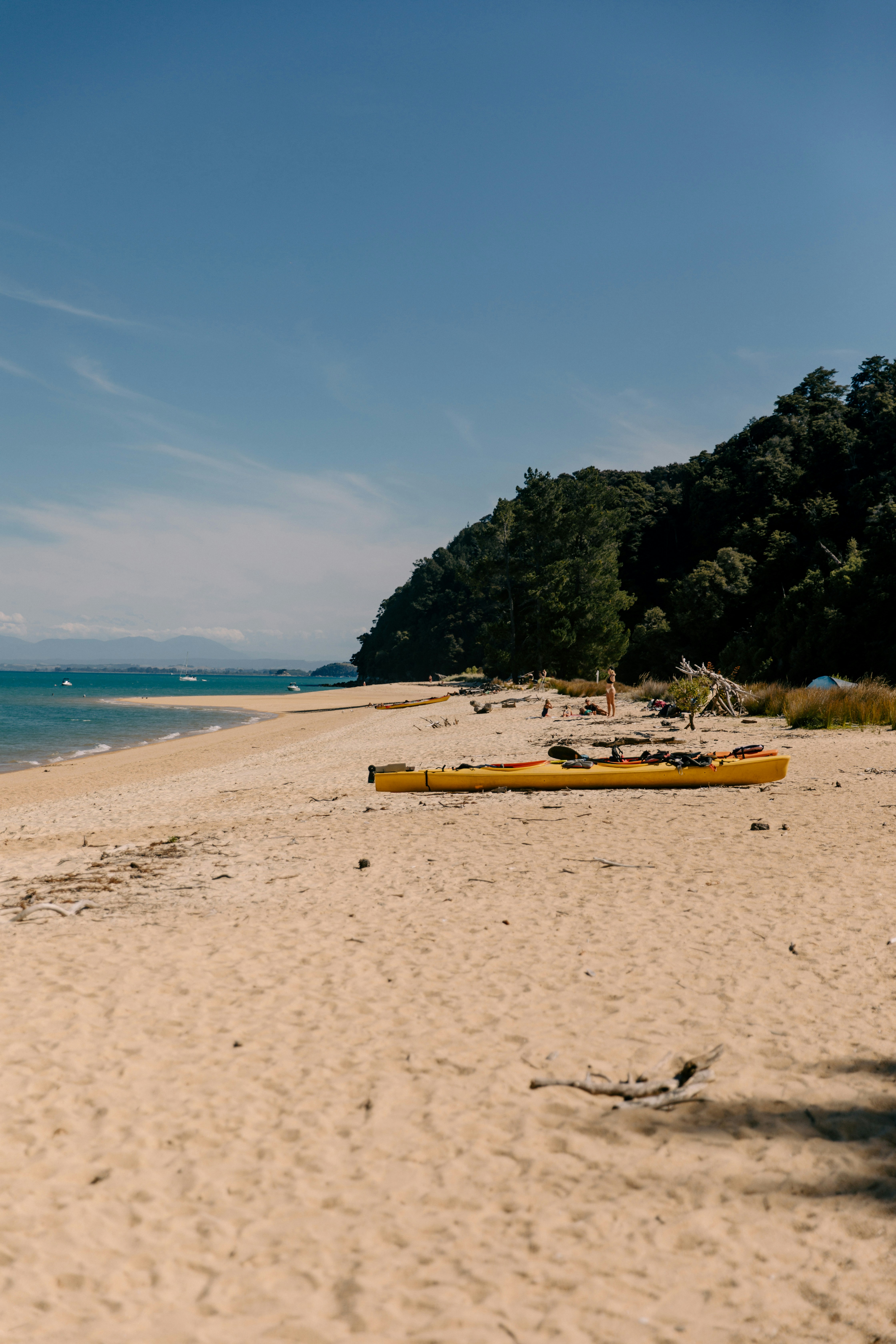 Yellow Kayaks Resting on Quiet Coastal Sand as Pine Forest Reaches the Shore