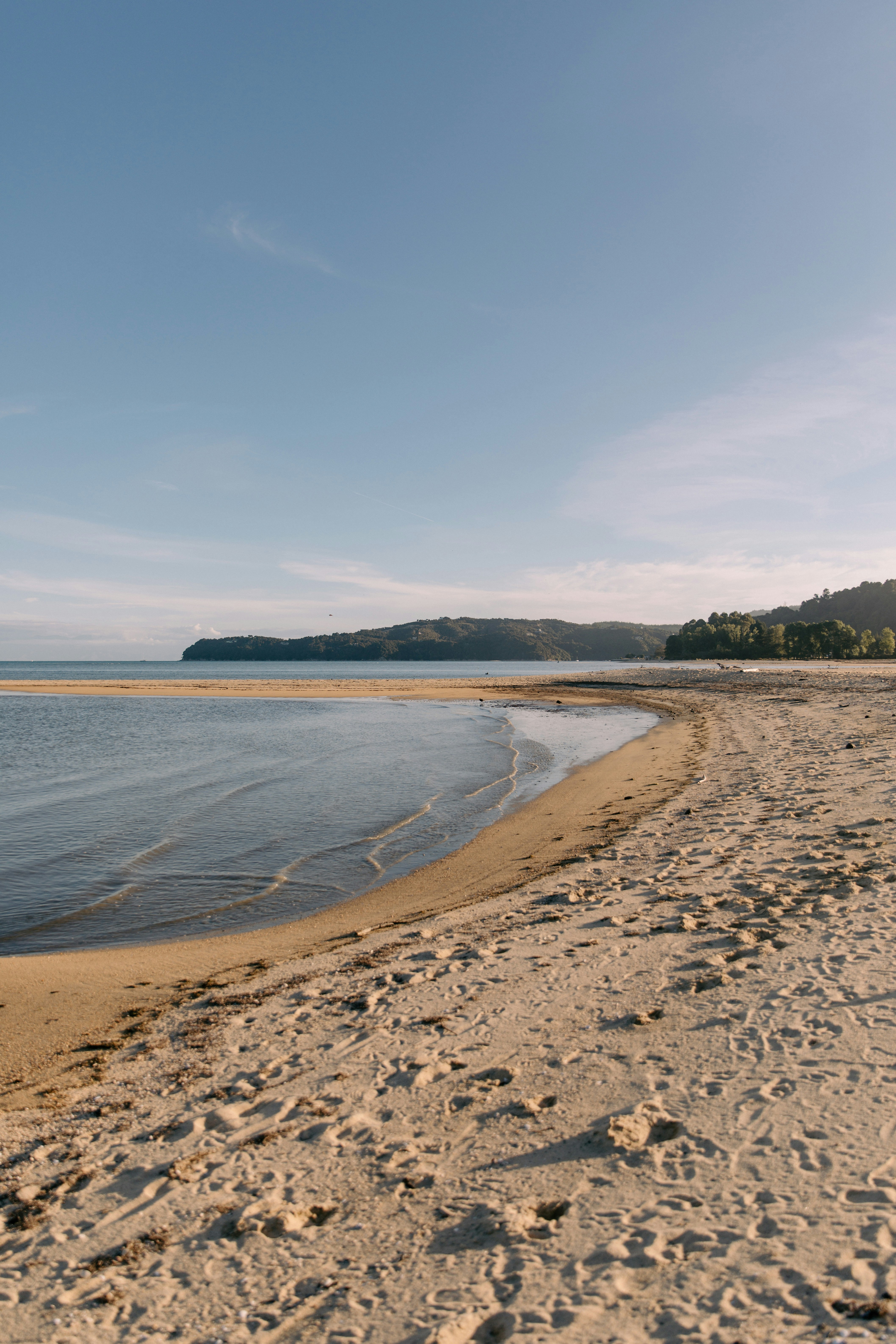 Quiet Beach Horizon: Sand, Sea, and Distant Trees Under Soft Morning Light
