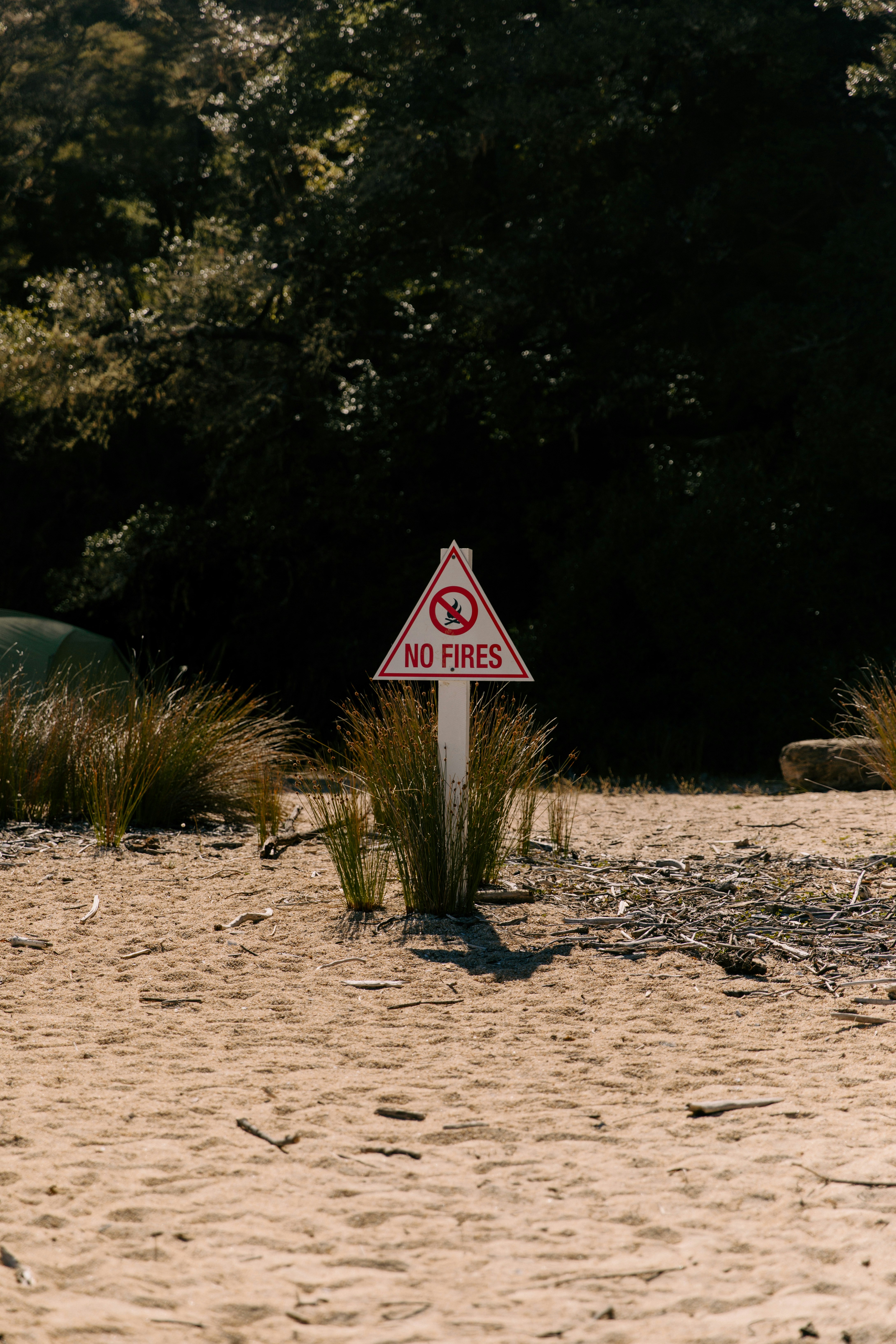 No Fires Sign Amid Beach Grass and Sand