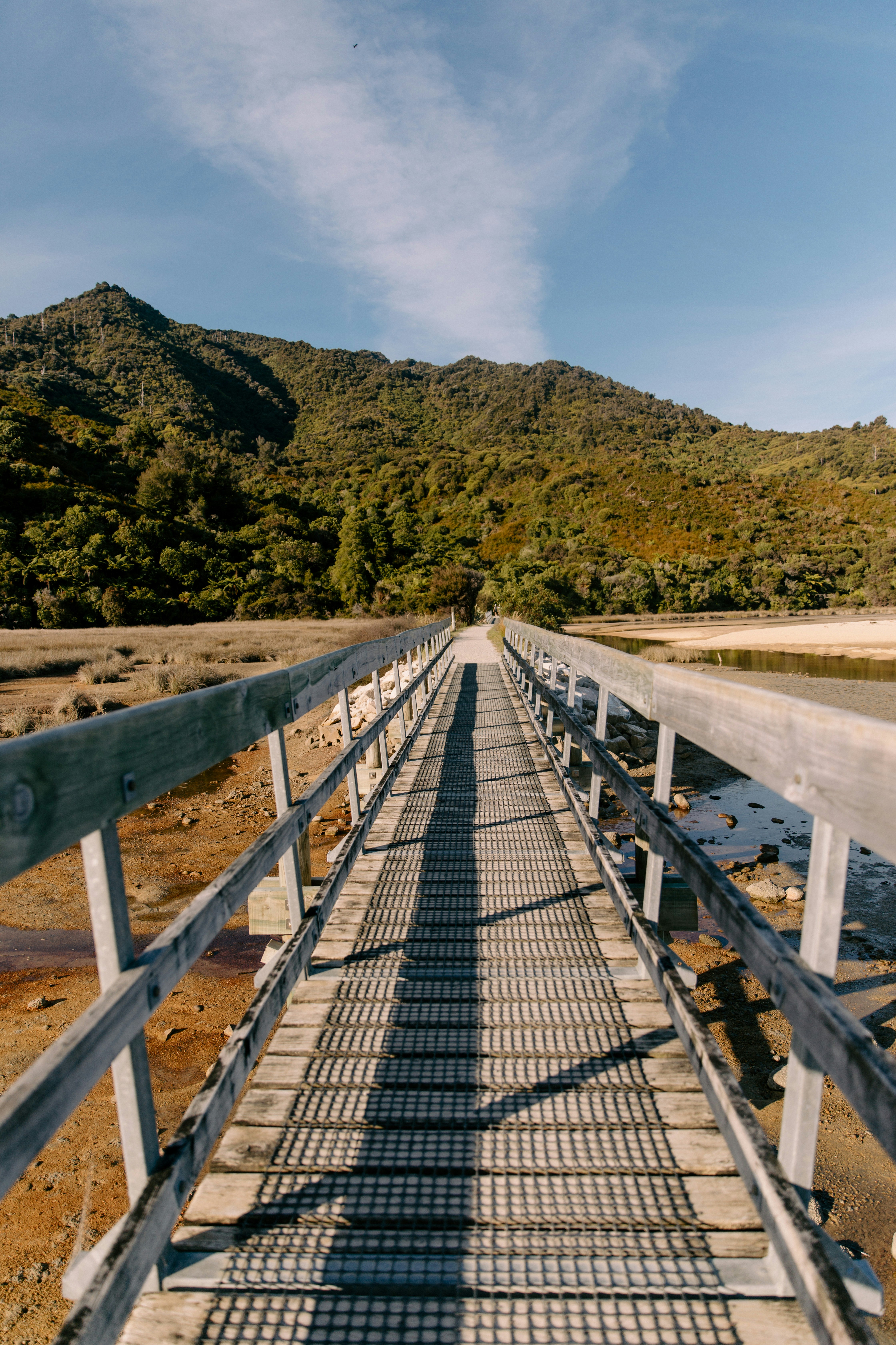 Bridge to the Ridge: A Sunlit Walk Through Kerned Shadows