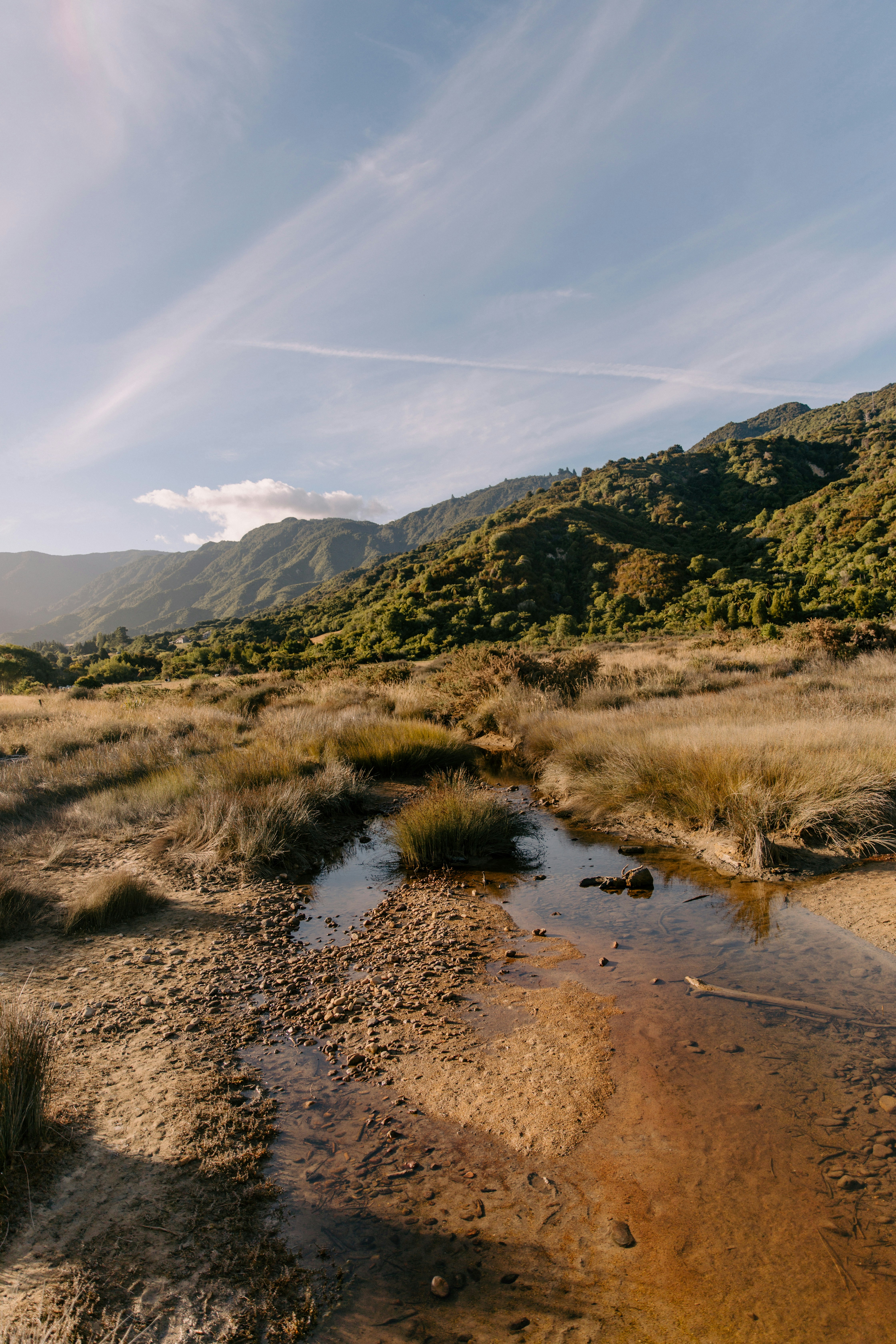 Dawn over a Golden Grassland: A Quiet Canyon Reach