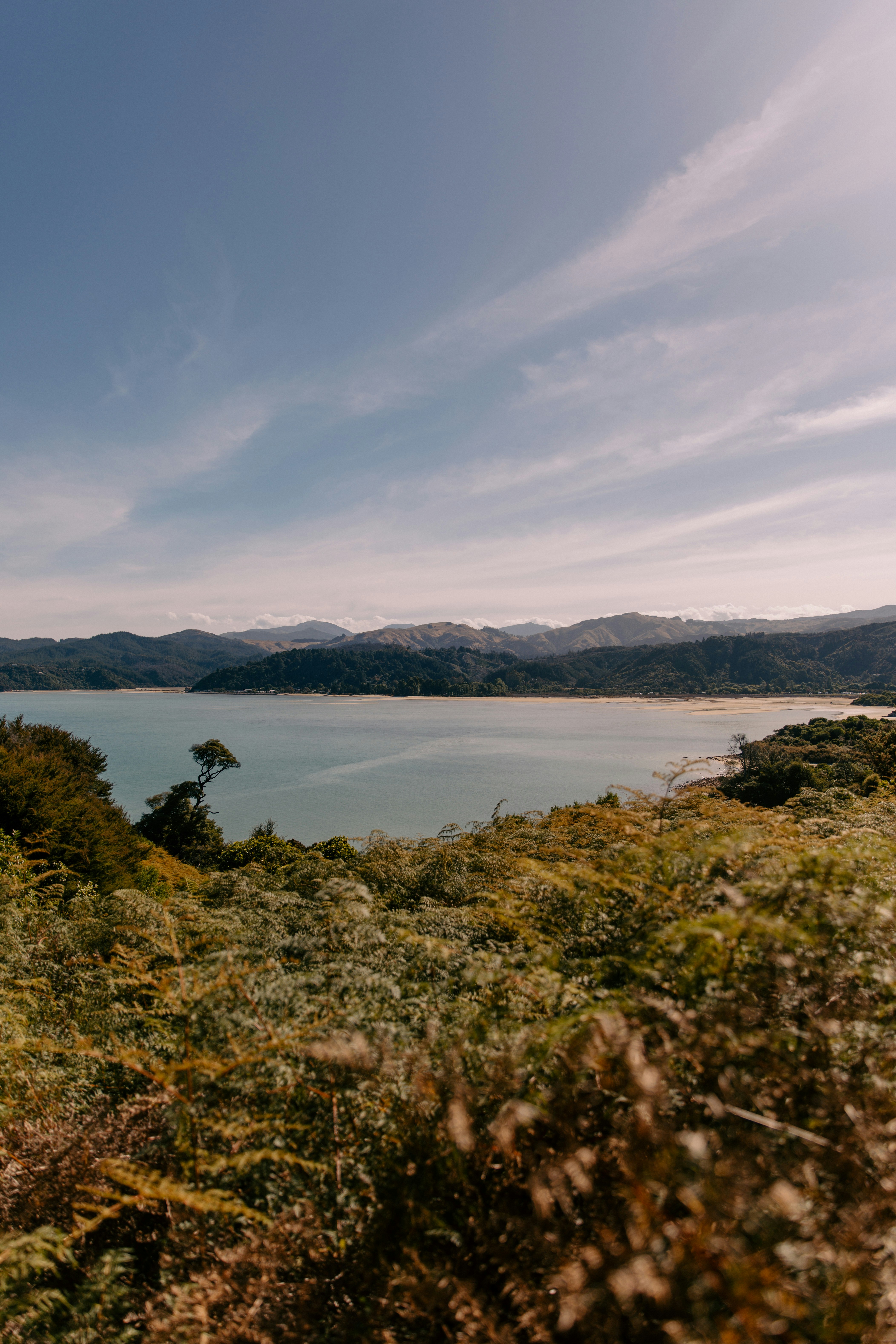 Coastal Rim: A Quiet Horizon Over Wild Foliage