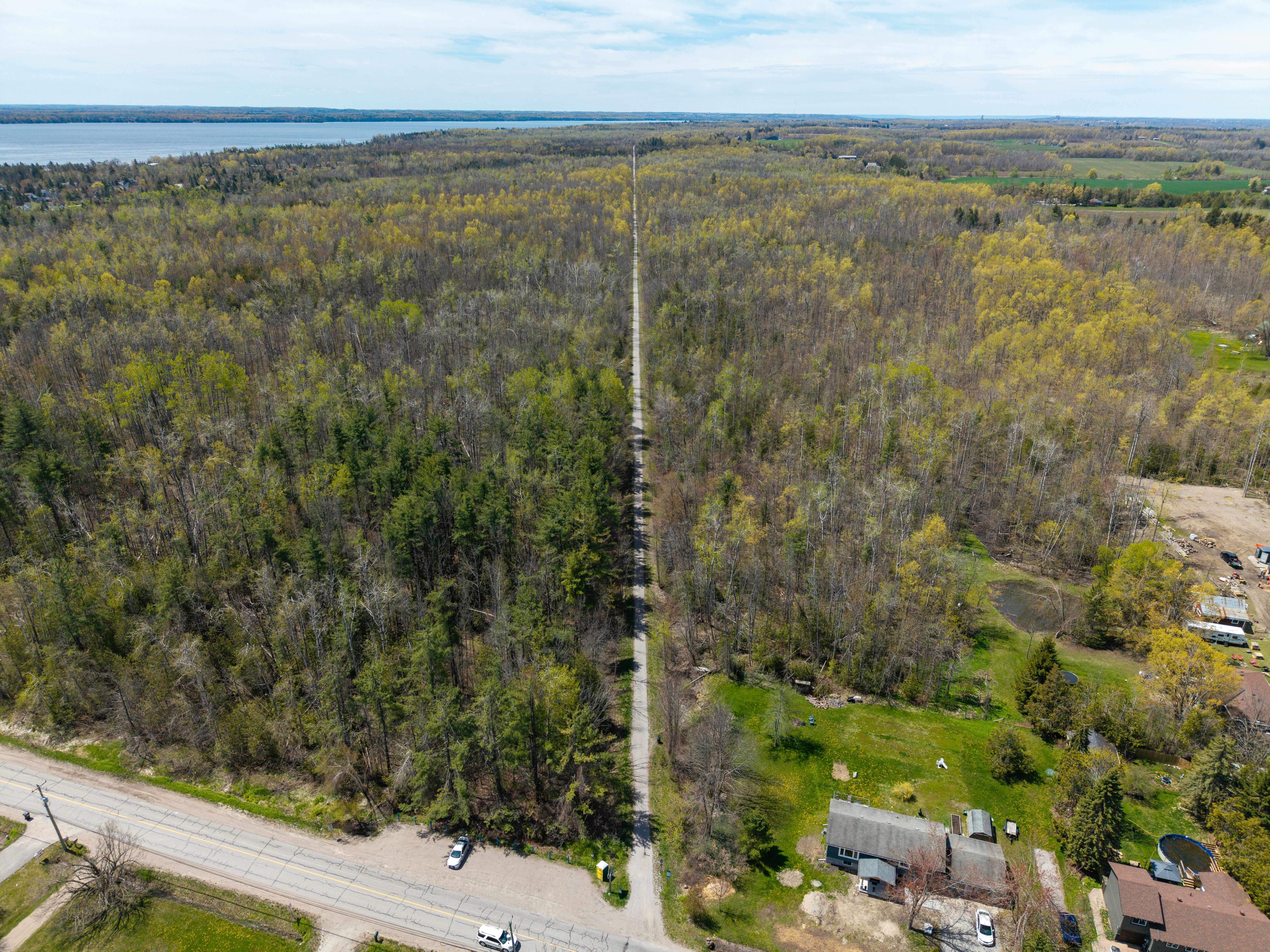 Midline Road Through a Forest Corridor