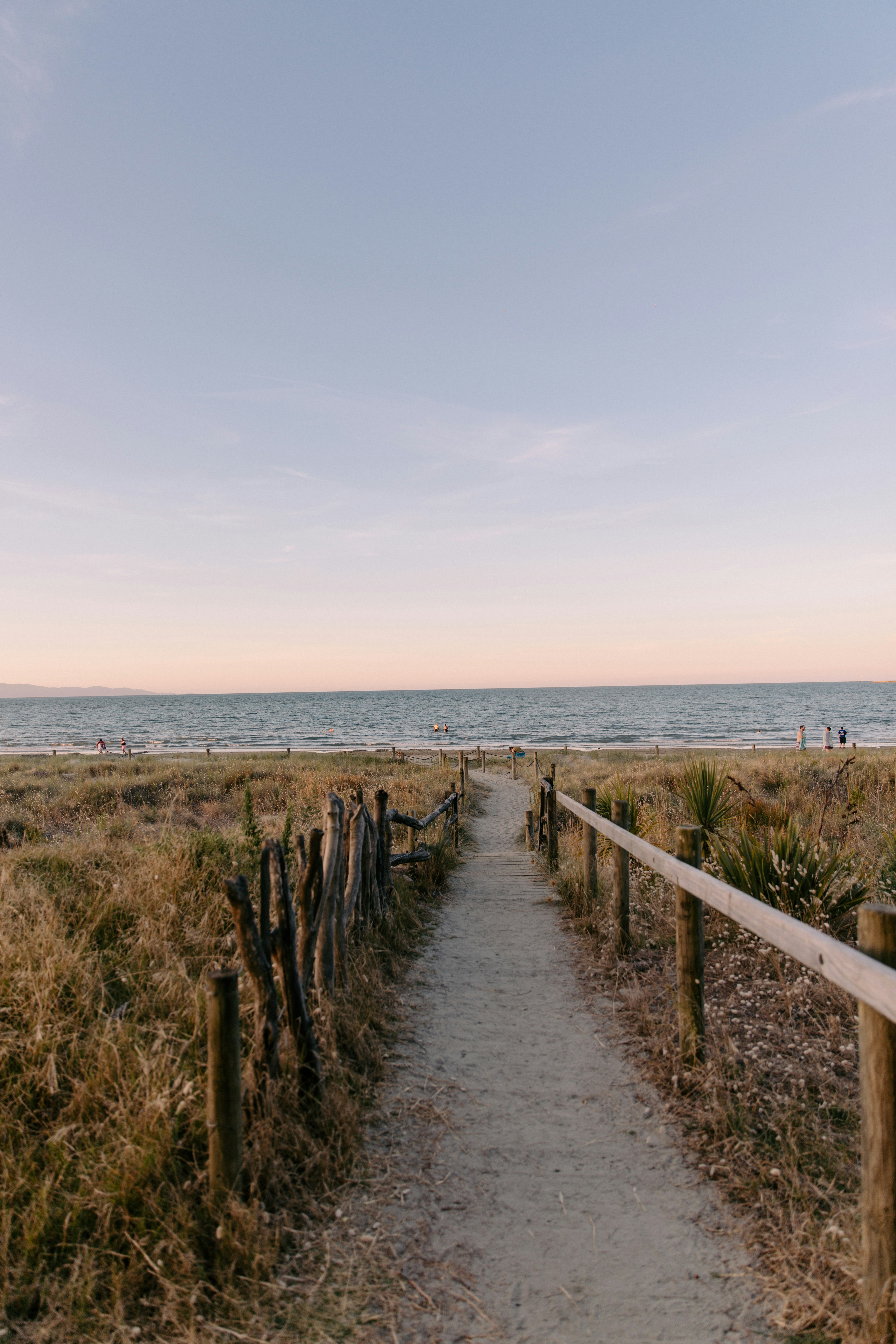 Path to the Horizon: A Quiet Beach Walk Through Dune Rails