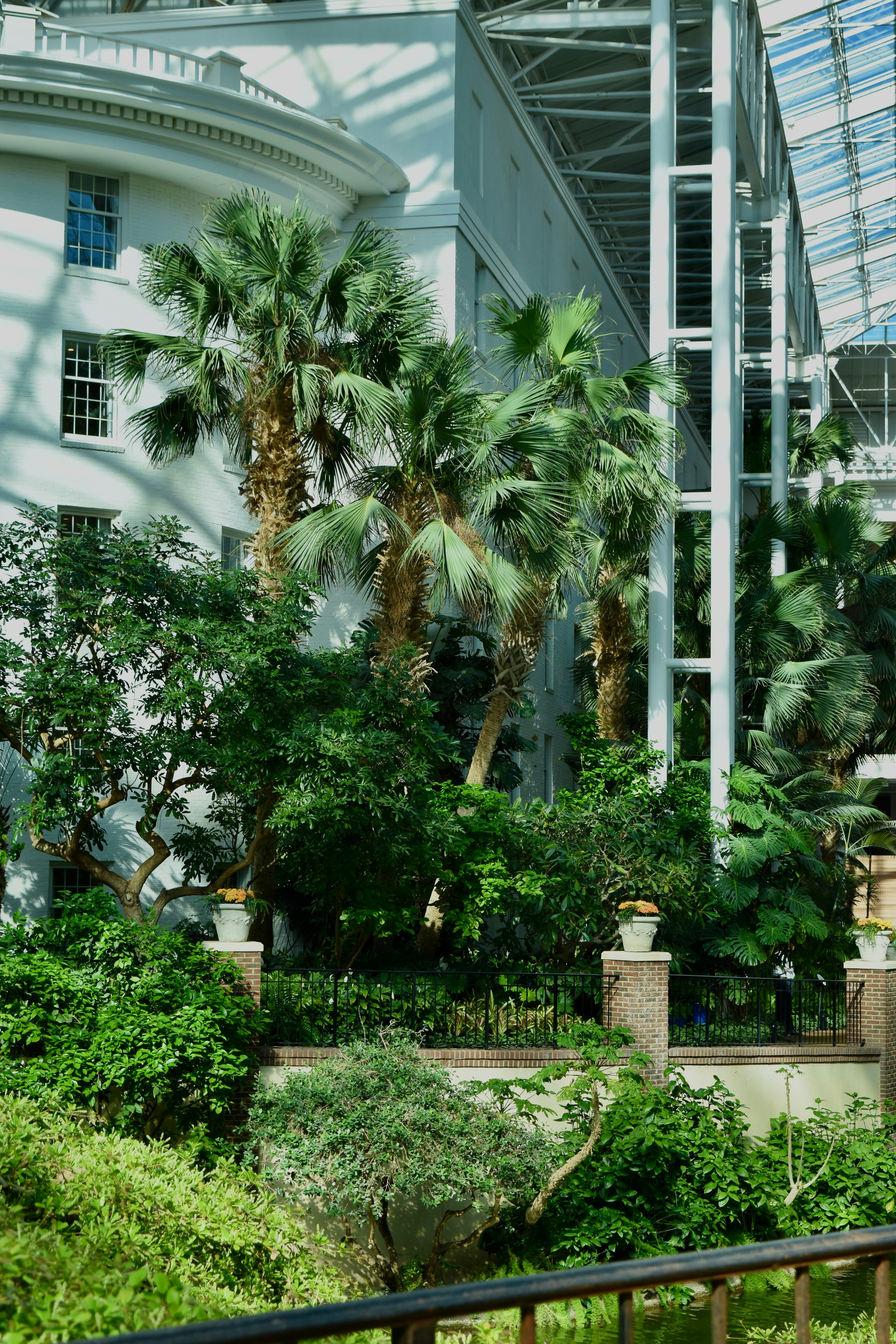Sunlit Palm Courtyard Bordered by Modern Glass and Classical Facade
