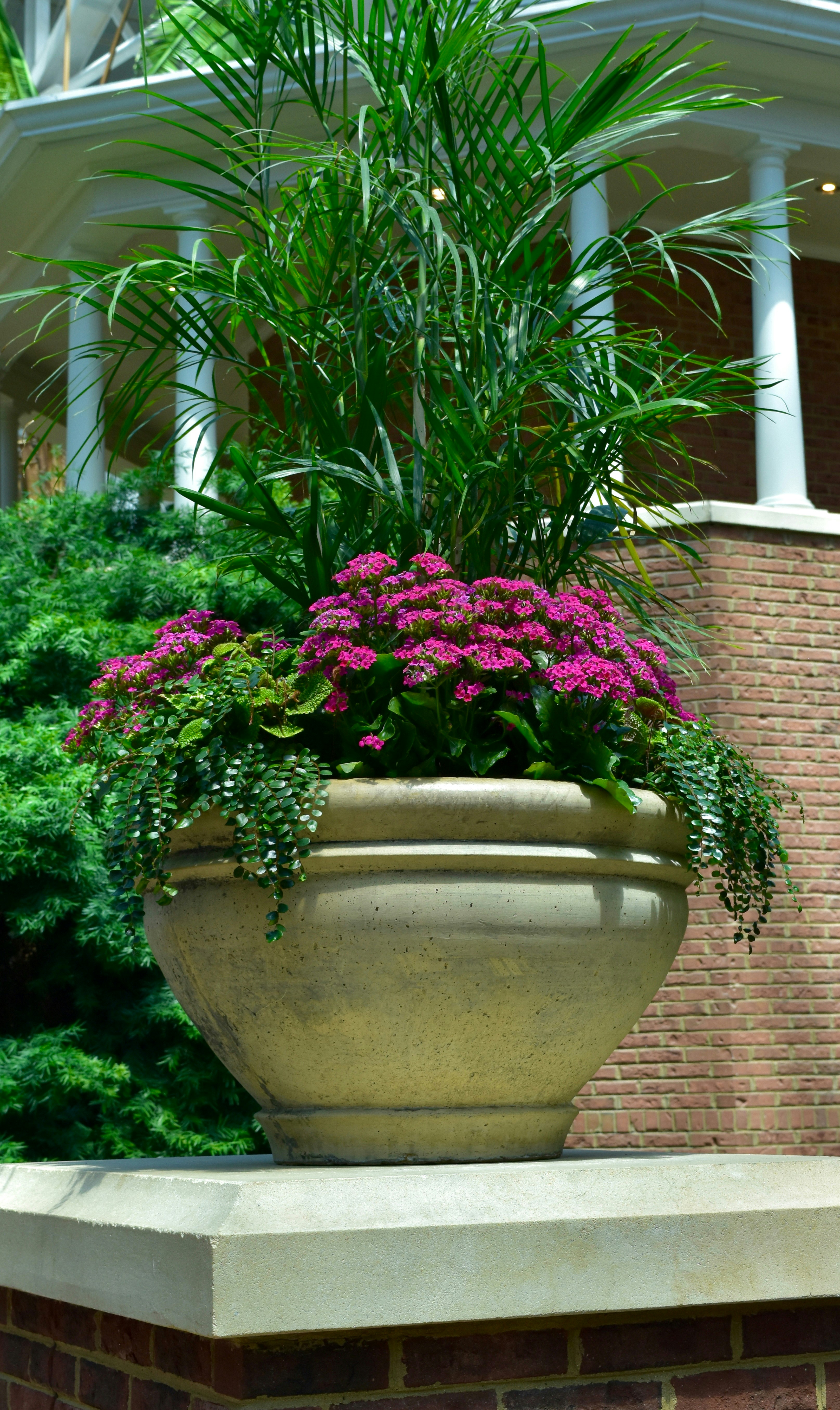 Urban Oasis: A Grand Potned Veranda Accent