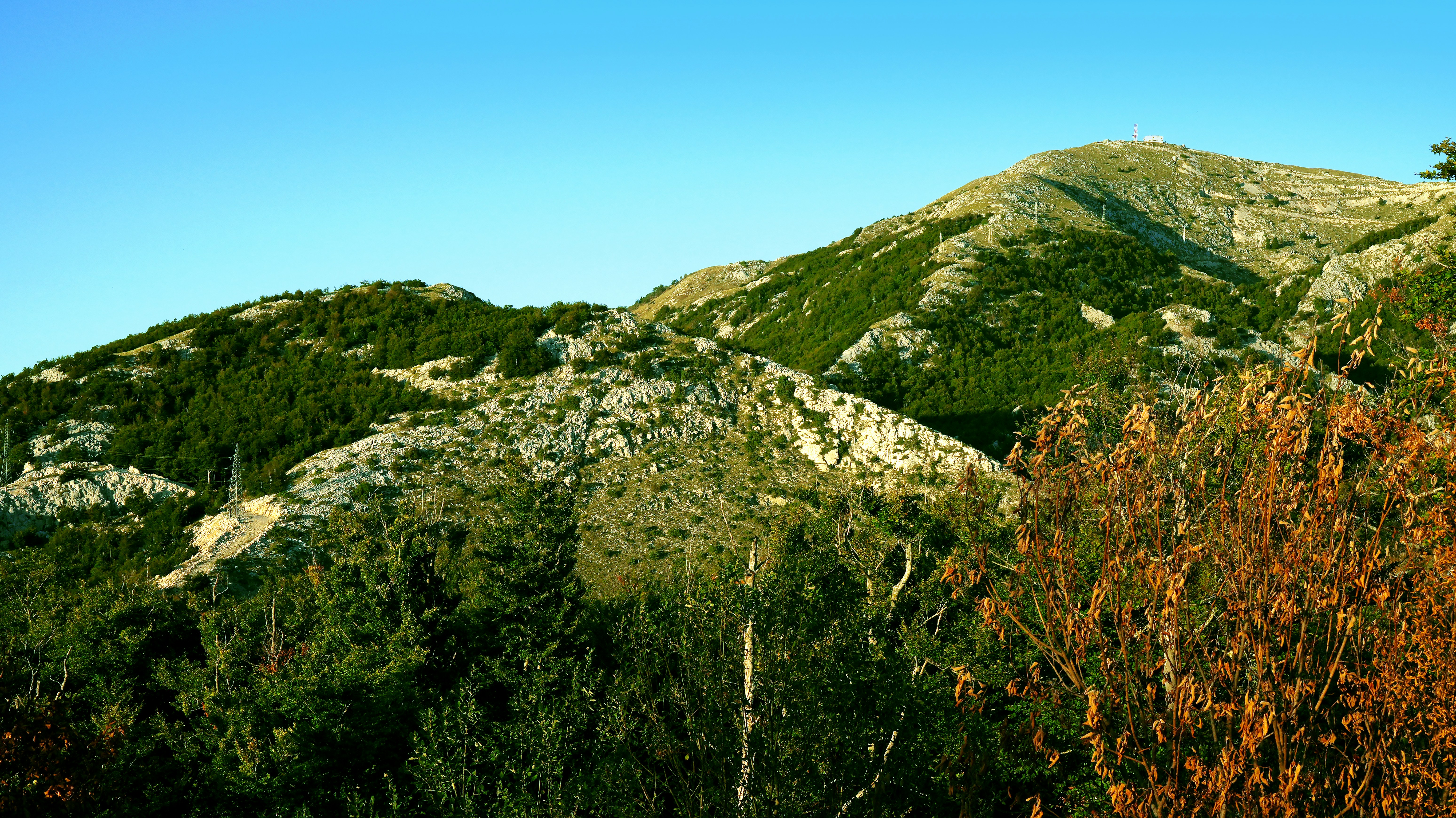 Sunlit Ridge: A Quiet Climb Above the Pines