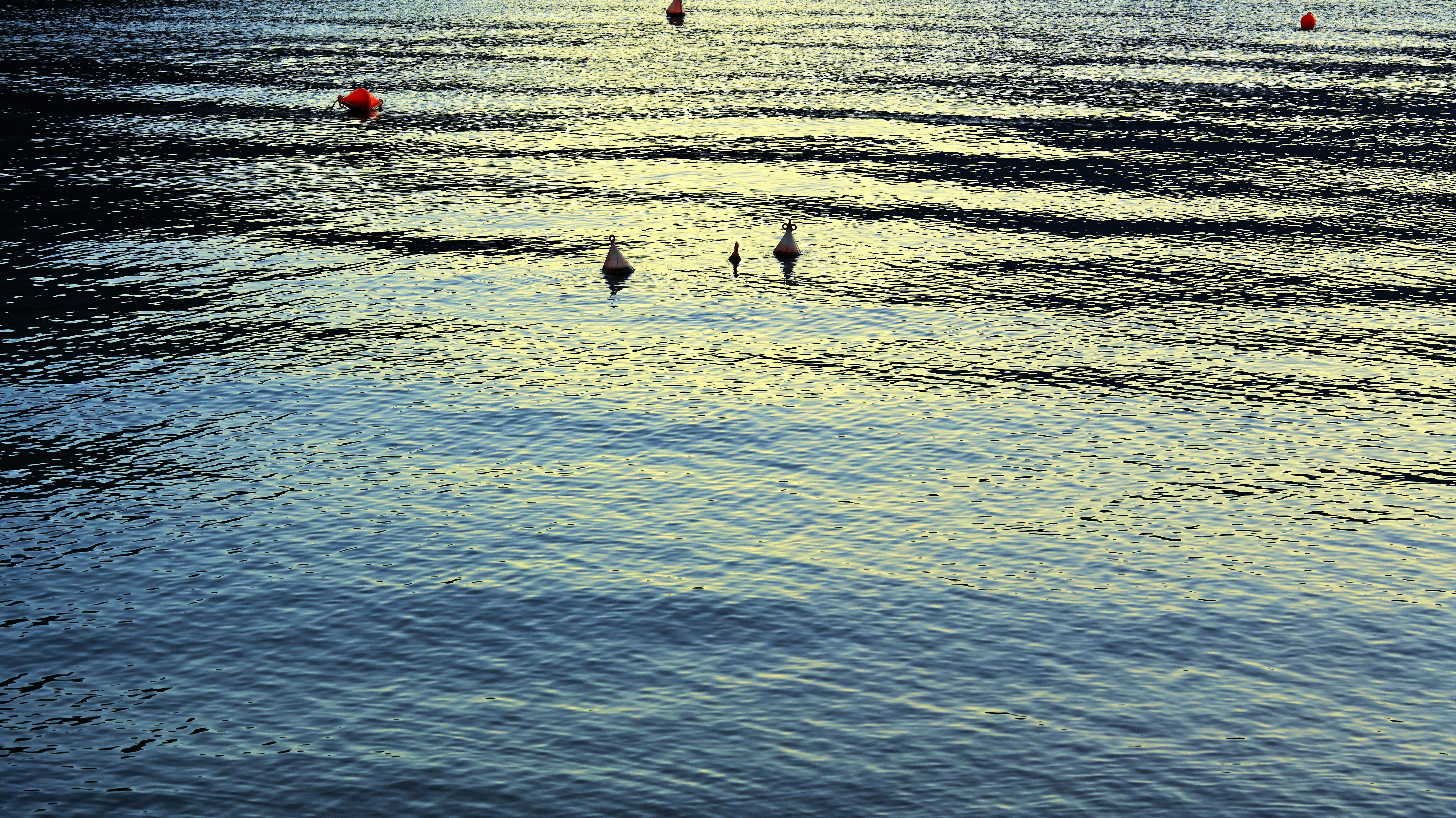 Distant Figures in Gentle Tide: A Quiet Seascape at Dusk