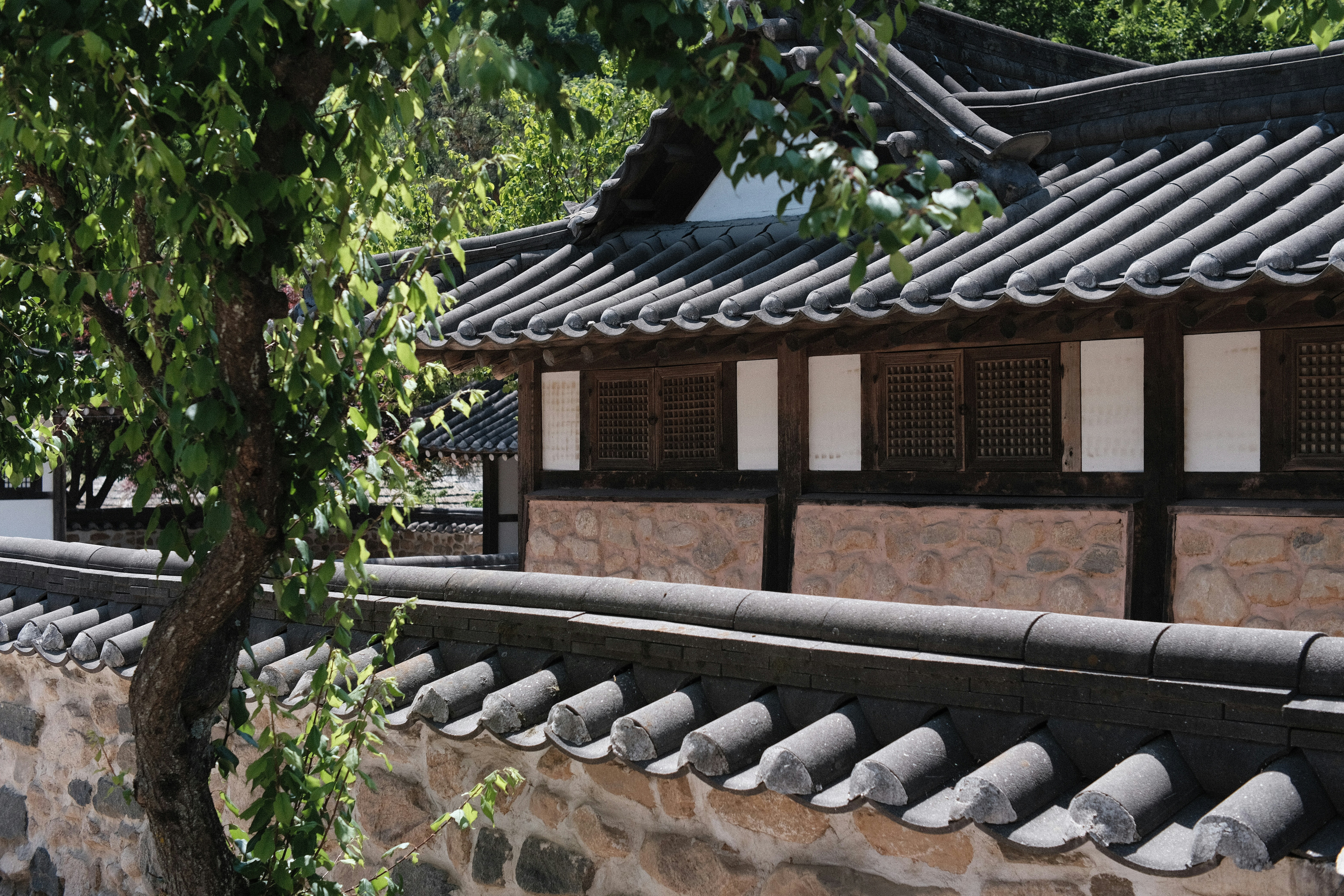 Quiet Boundary: A Kimchi of Stone and Tile by the Garden Wall
